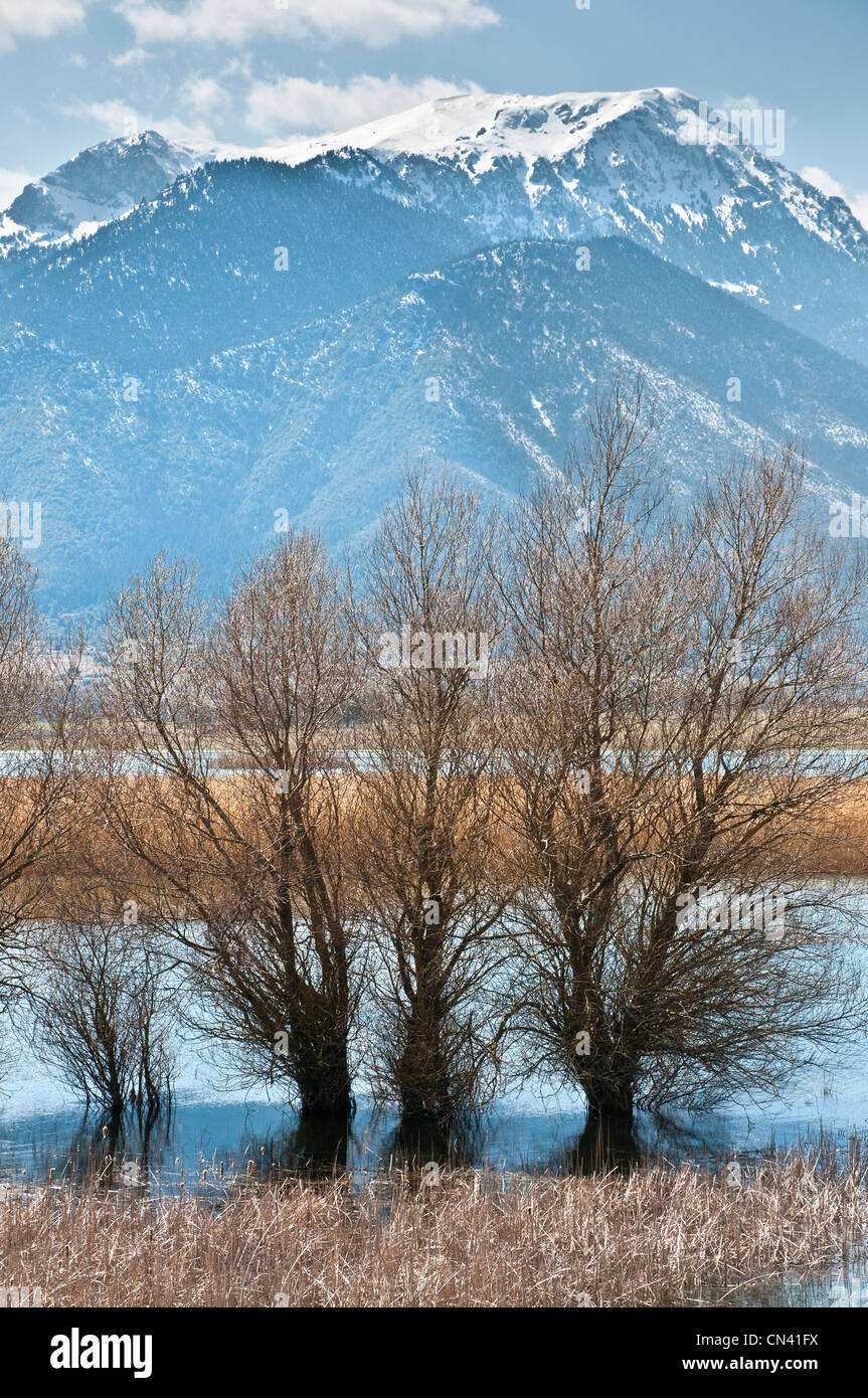 The Stymphalian Lake in Spring flood, in southern Korinthia ...