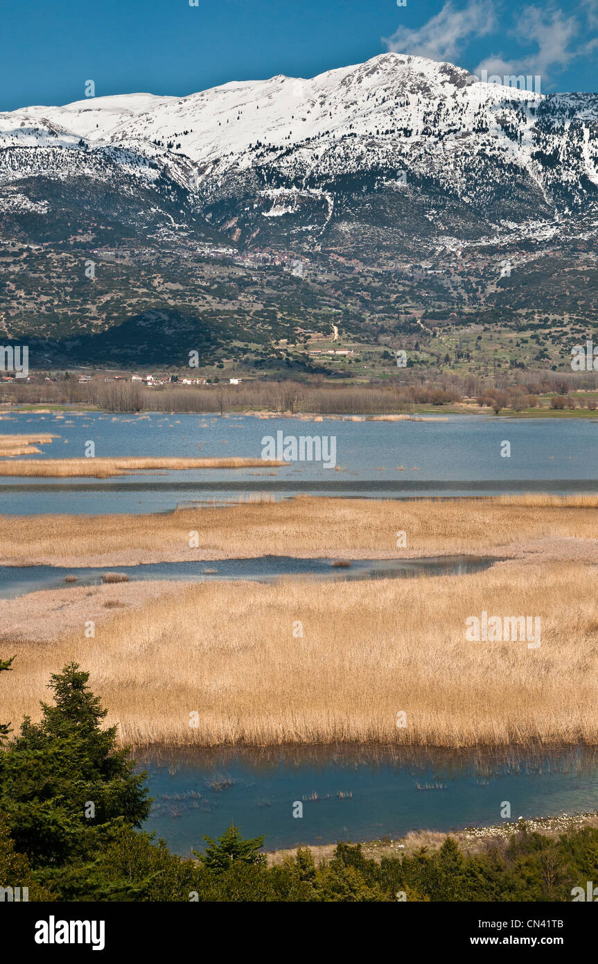 Looking across the Stymphalian Lake towards Mount Killini (Ziria) in ...