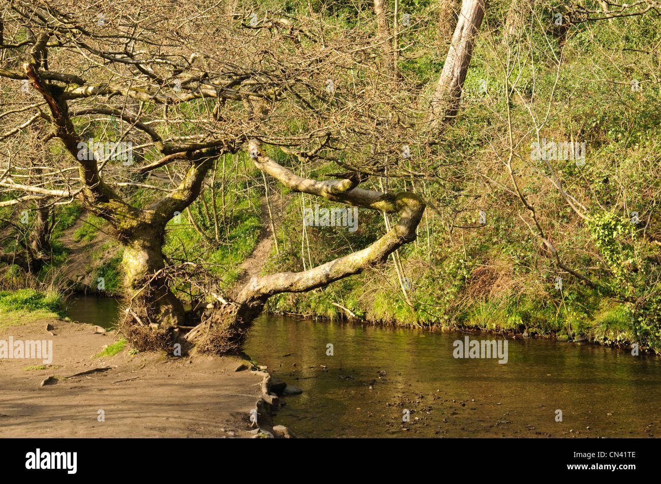 Braid burn hi-res stock photography and images - Alamy