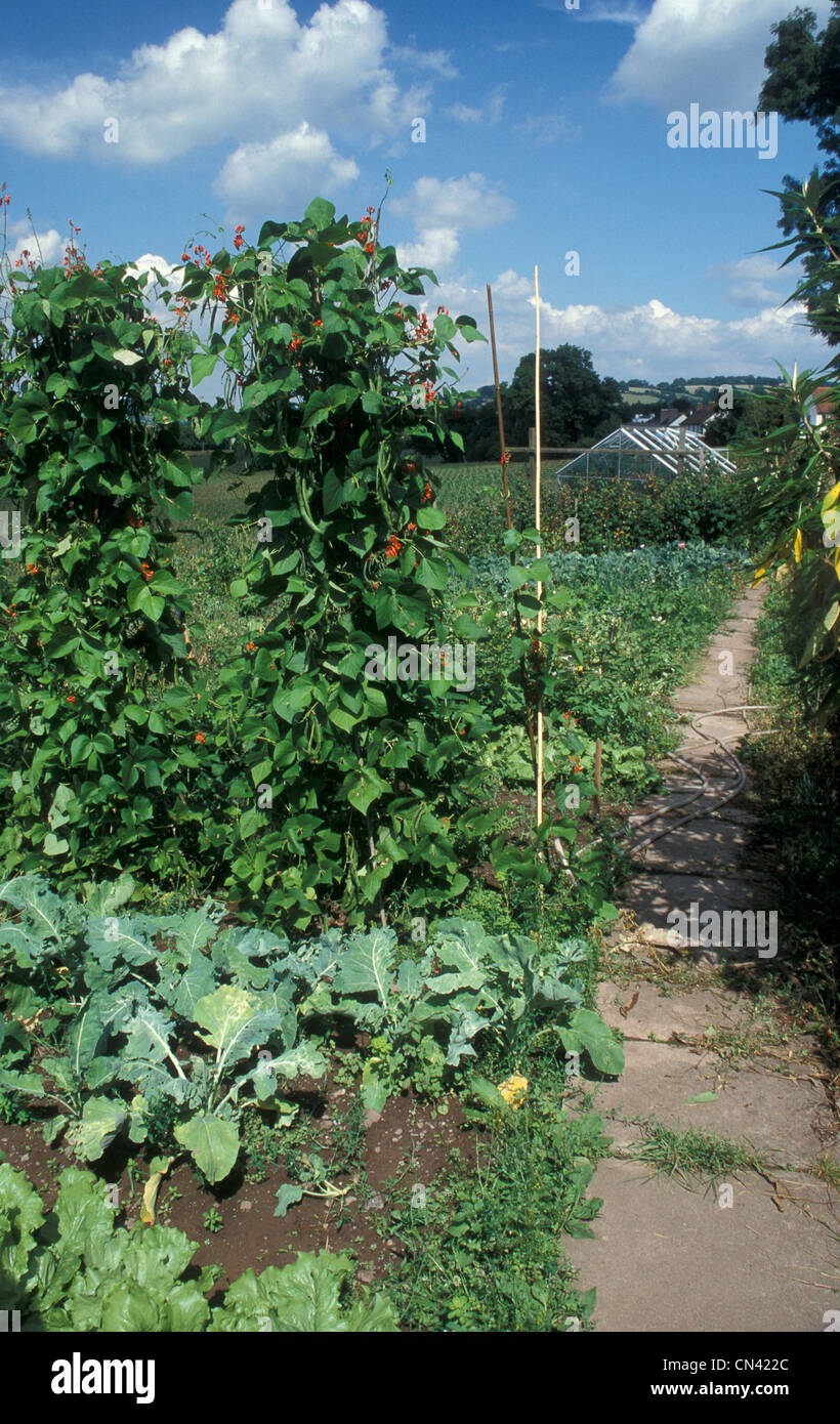 Allotment garden wales hi-res stock photography and images - Alamy