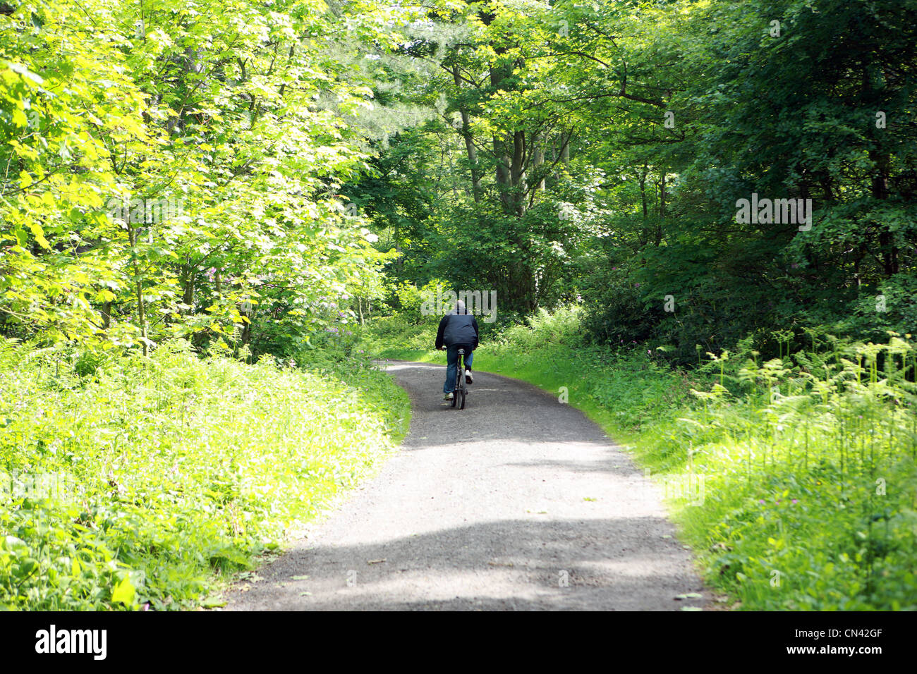 Scottish countryside cycling hi-res stock photography and images - Alamy