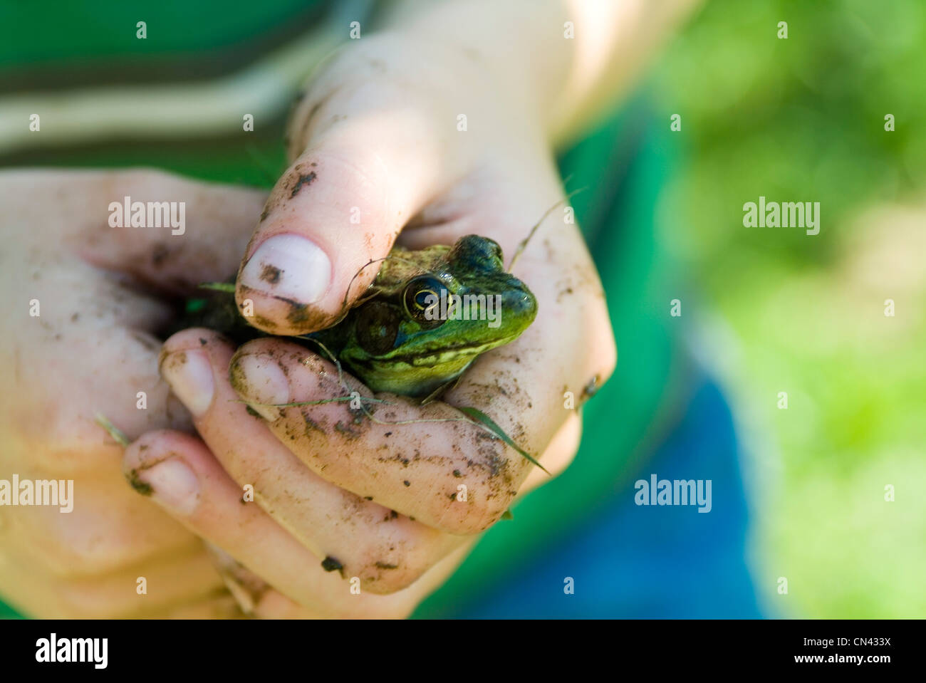 Boy with a frog hi-res stock photography and images - Alamy