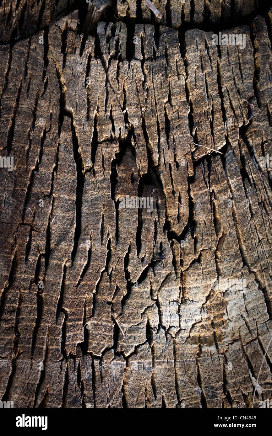 old wood background Stock Photo - Alamy