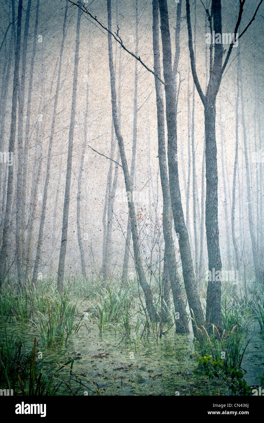Vignette vintage art hi-res stock photography and images - Alamy