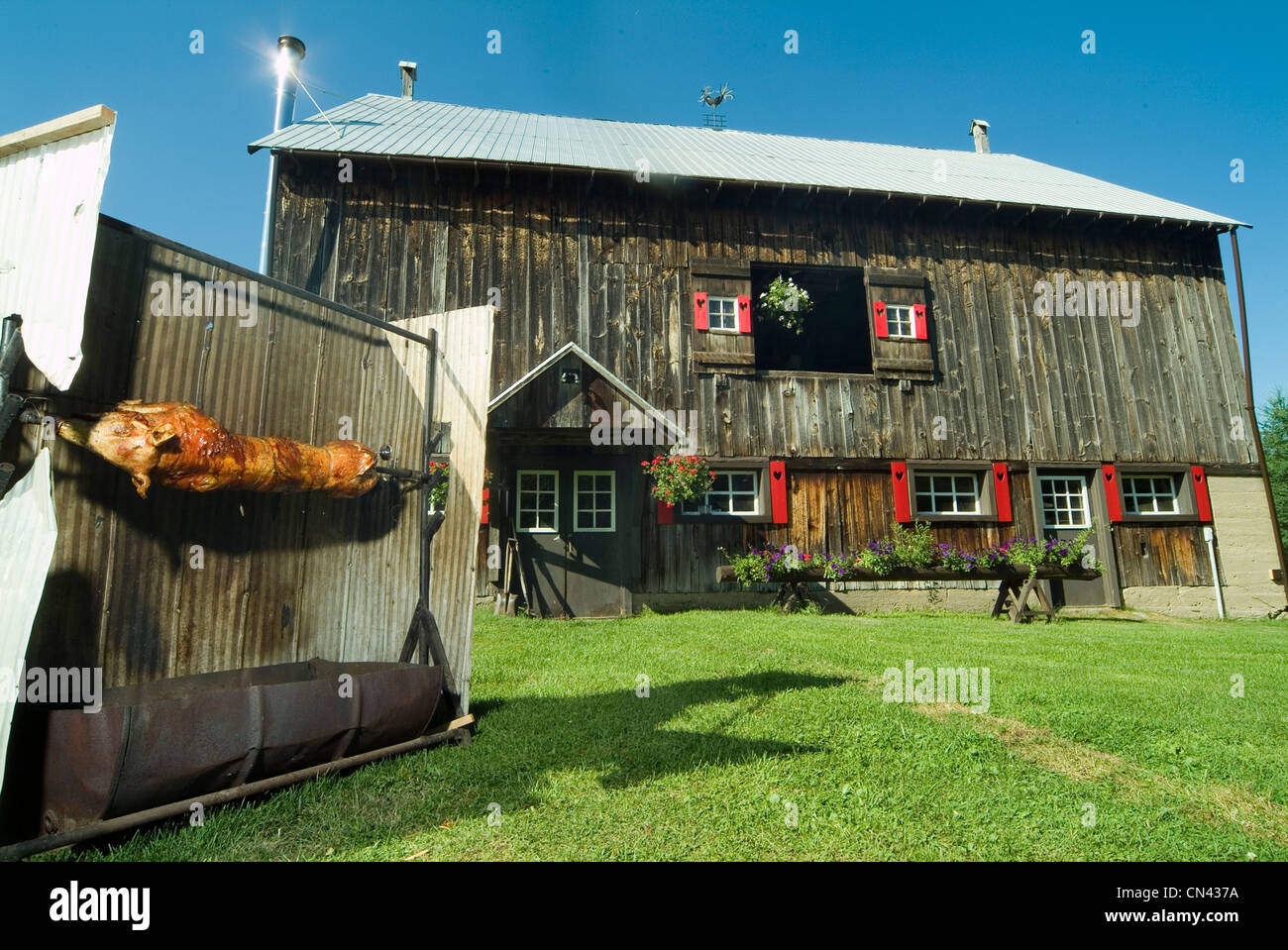 Pig Roast and Barn, Montabello, Quebec Stock Photo - Alamy