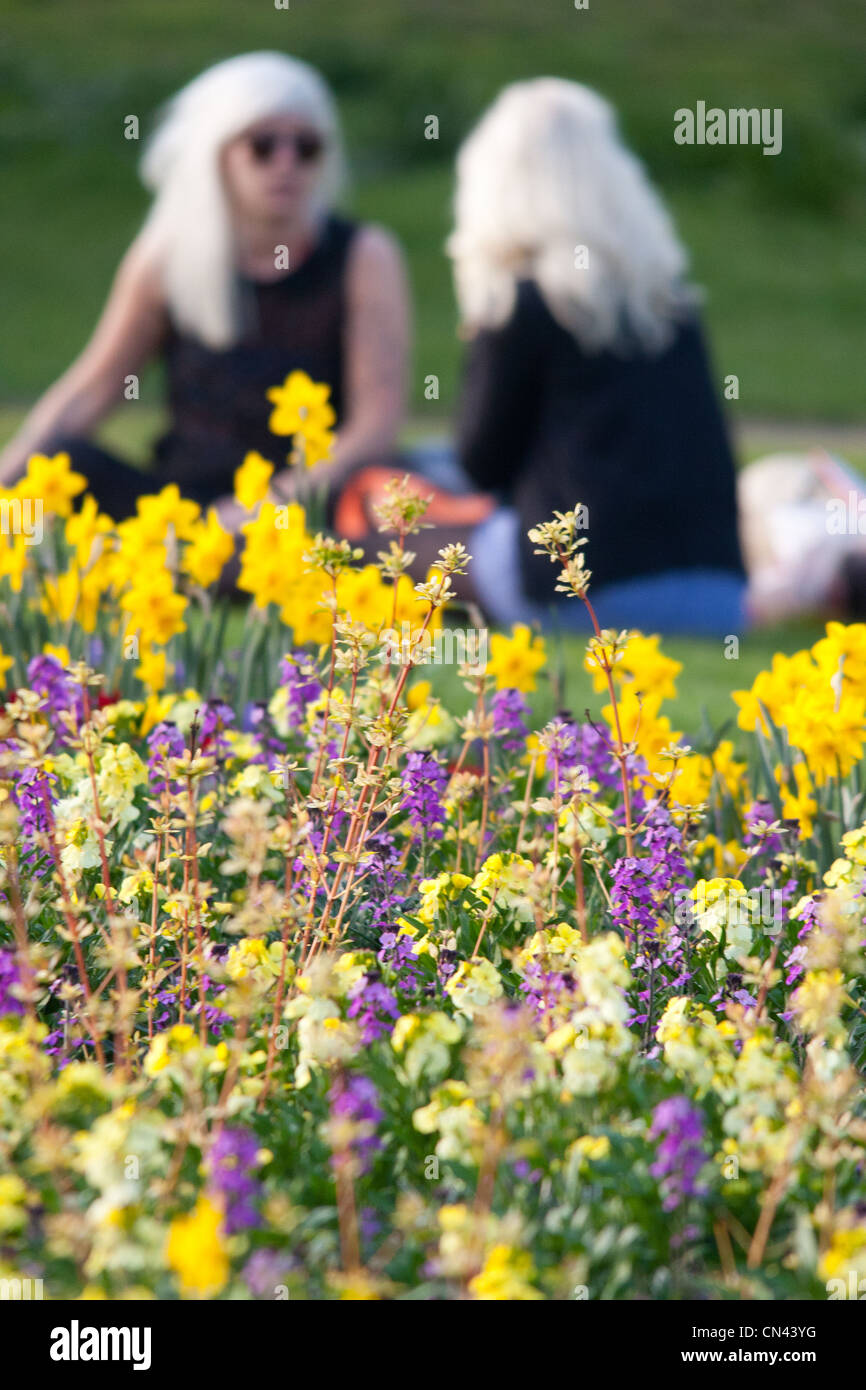 Hyde park london spring flowers hi-res stock photography and images - Alamy