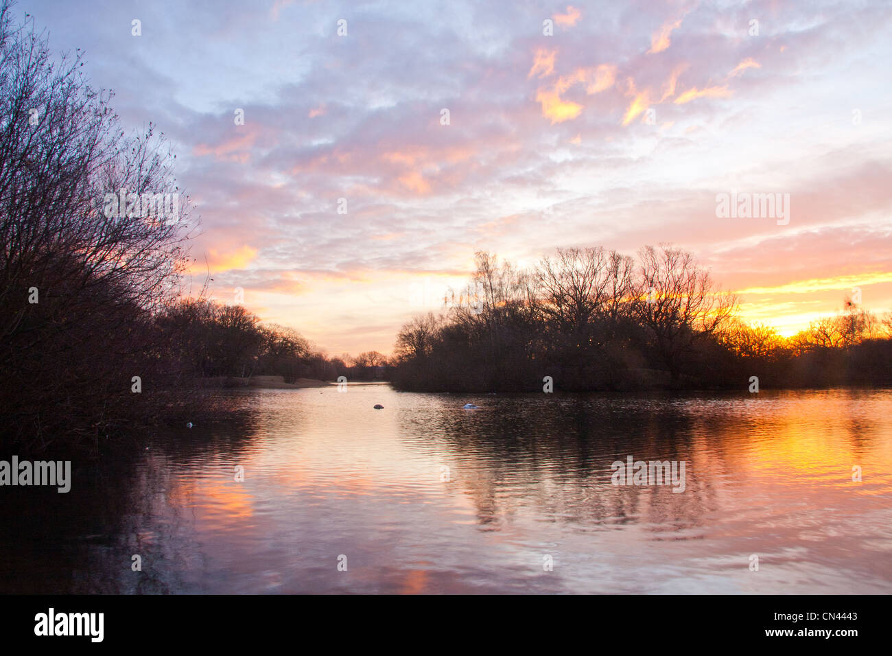 Hollow ponds hi-res stock photography and images - Alamy