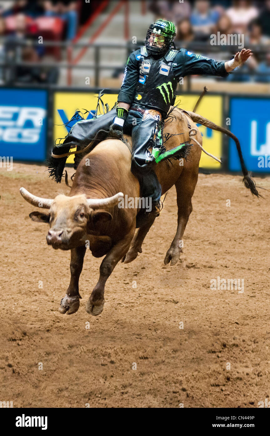 Pbr hi-res stock photography and images - Alamy