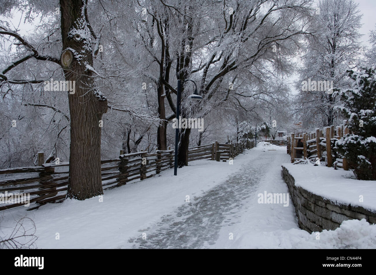 Driveway fence tree hi-res stock photography and images - Alamy