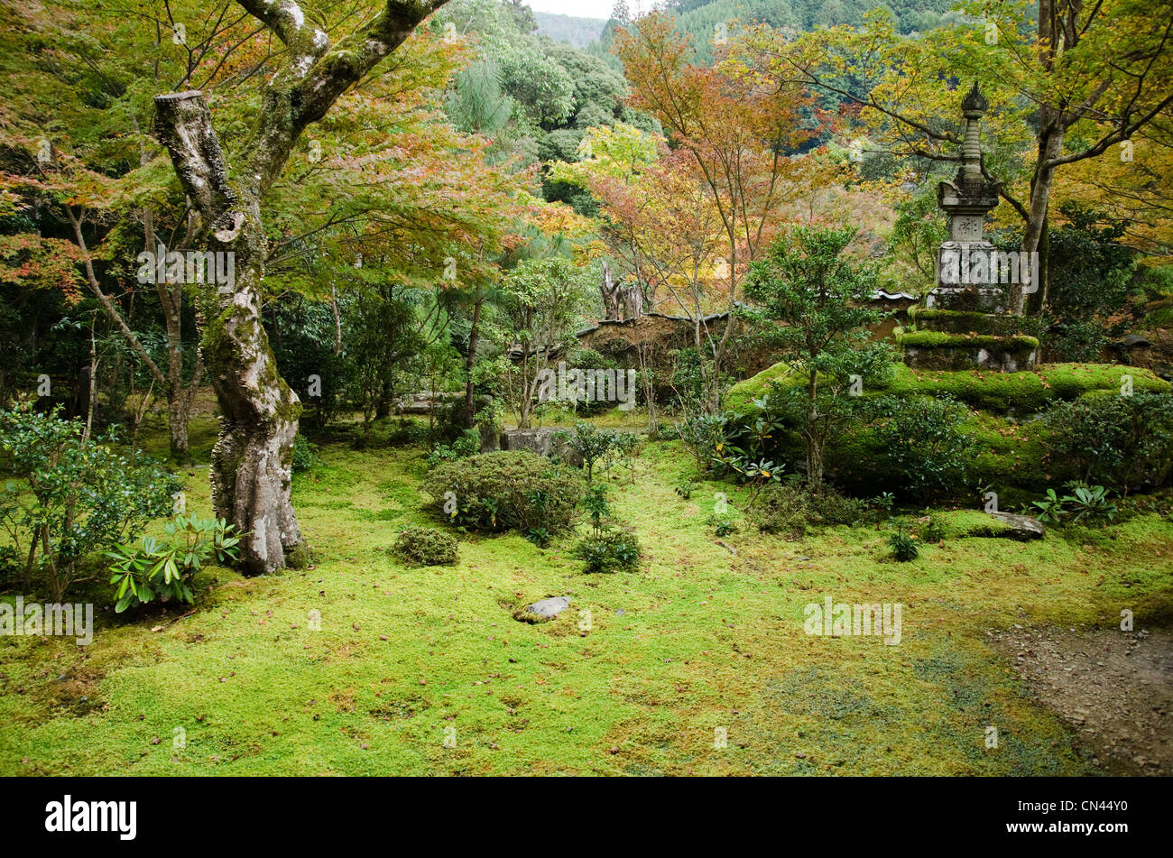 Japanese moss garden hi-res stock photography and images - Alamy