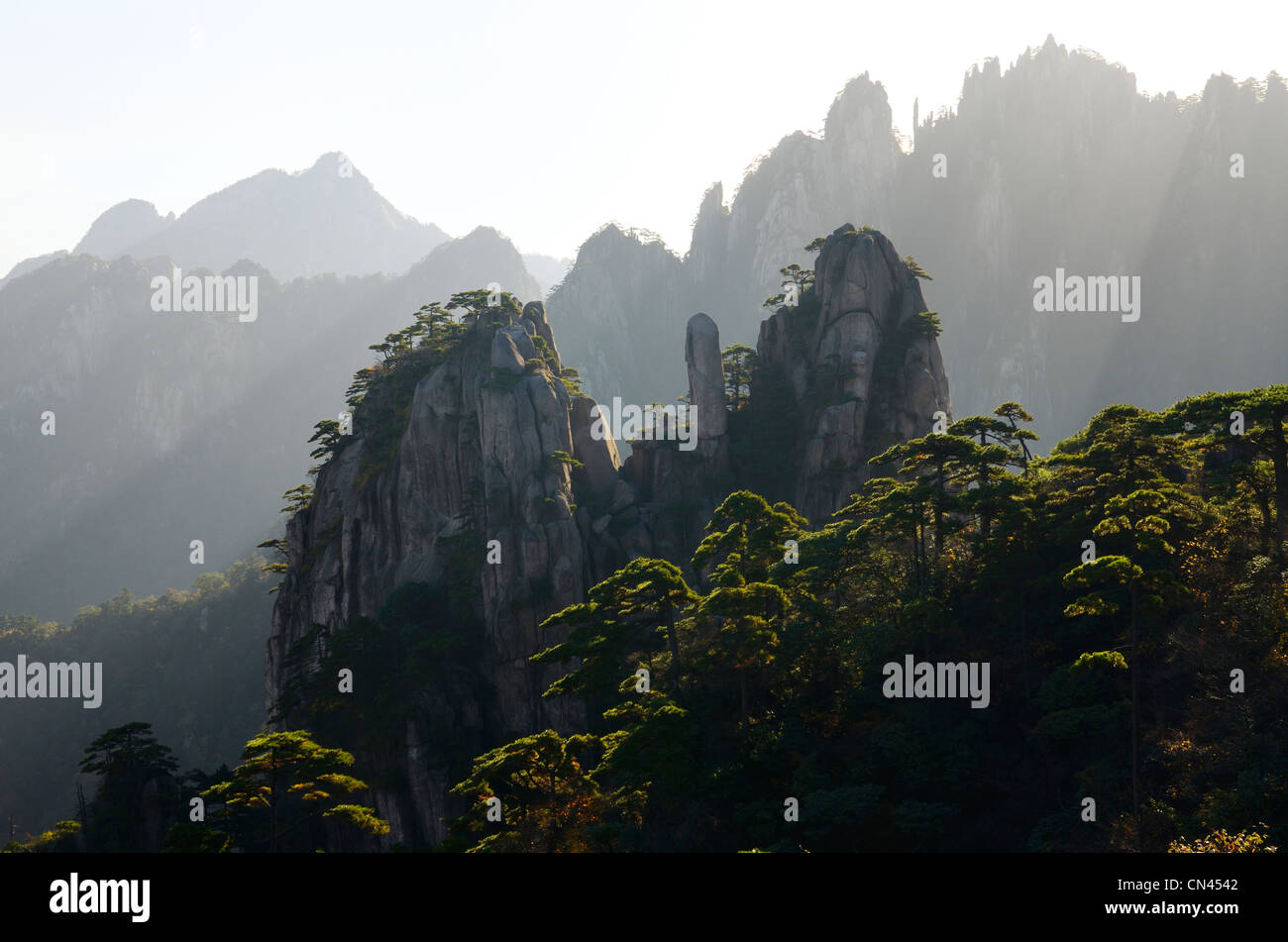 Sun streaks on pines on Camel Back Peaks from Refreshing Terrace North ...