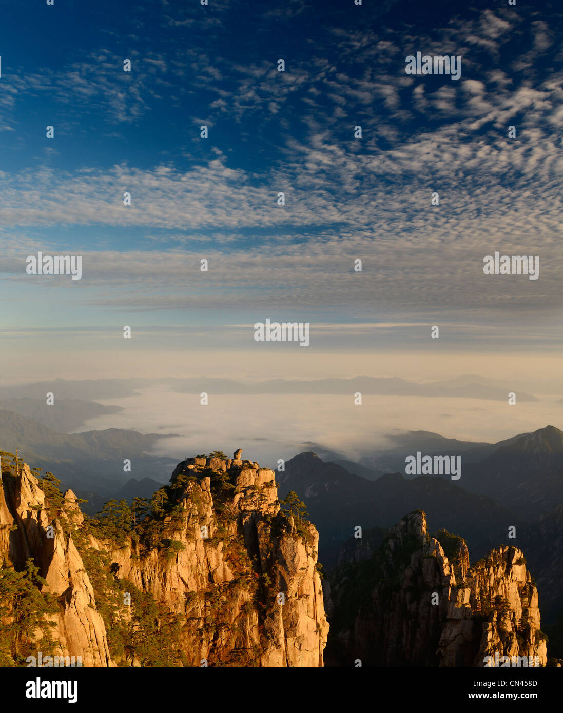 Monkey watching the Sea Peak at sunrise with fog and clouds at ...