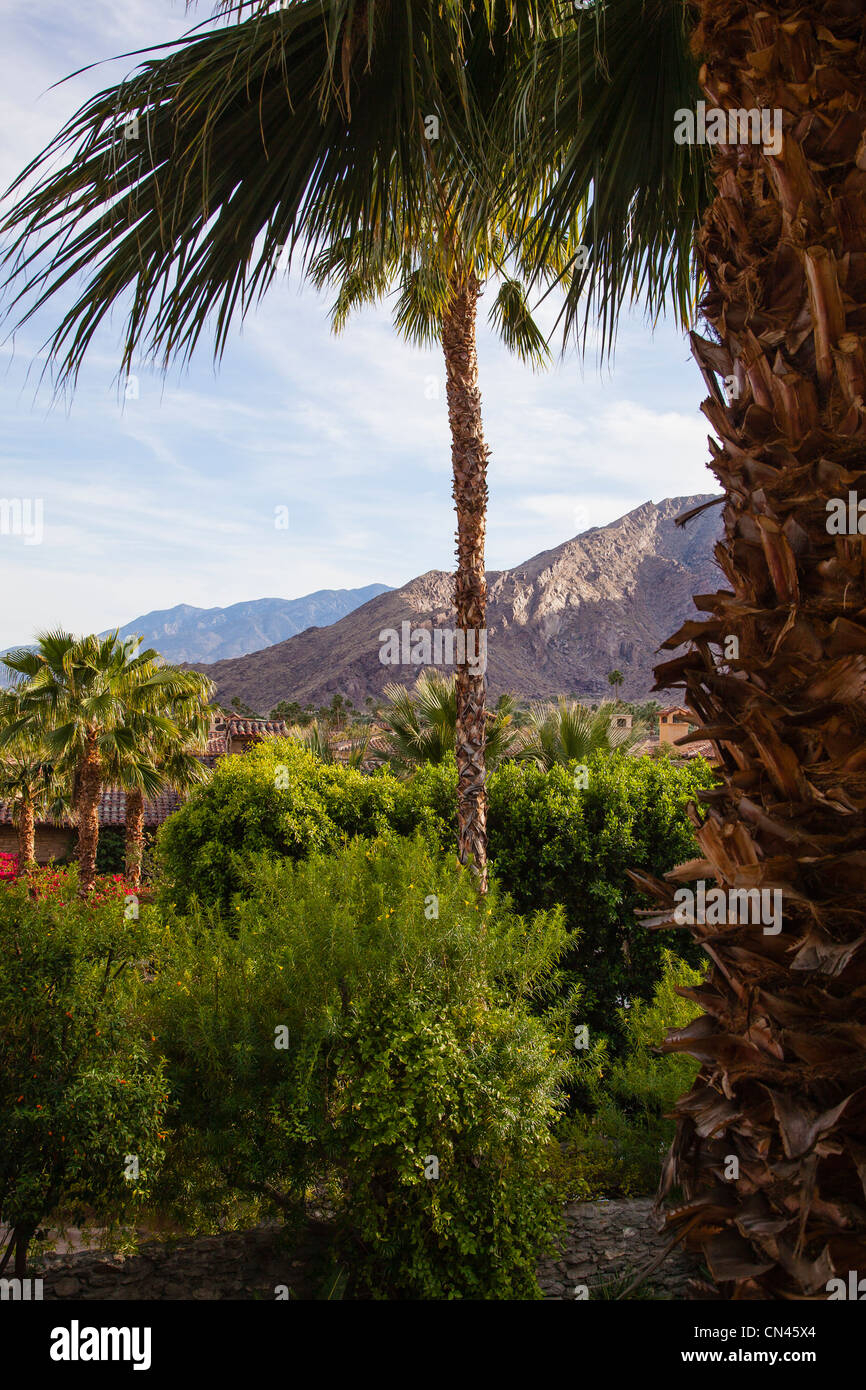 Palm trees mountains springs california hi-res stock photography and ...