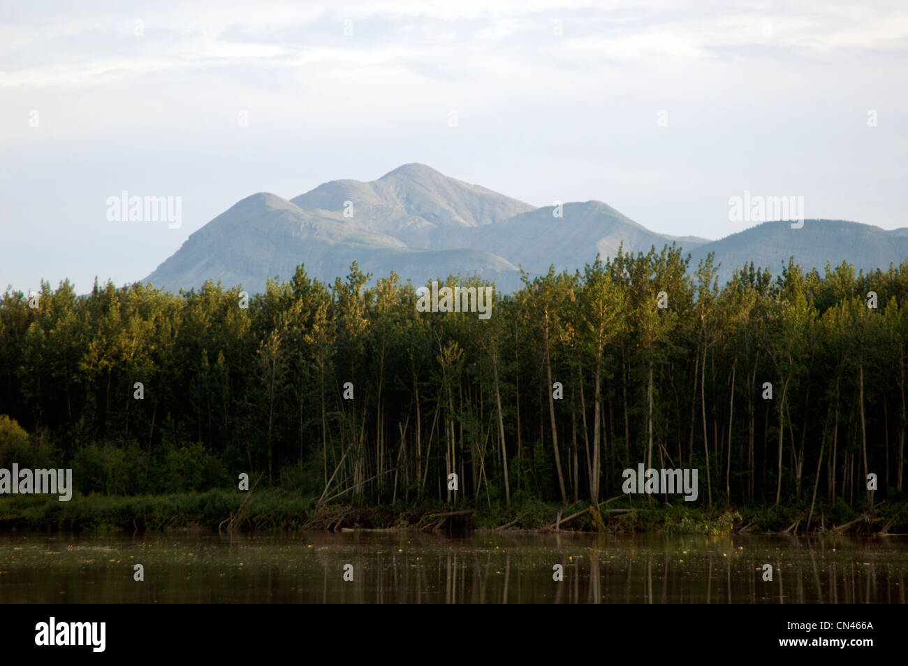 Part of the Mackenzie Mountain Range, Mackenzie River, Northwest ...