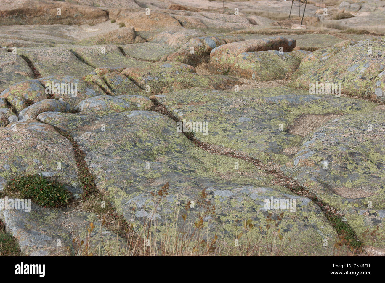 Erosion lines in exposed granite at the top of Cadillac Mountain, Maine ...