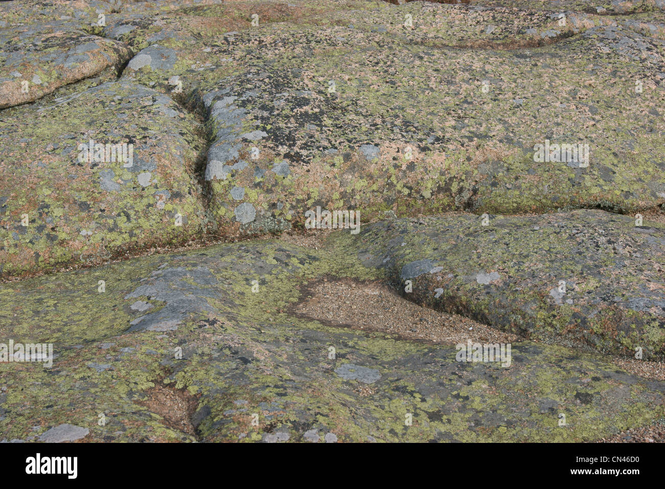 Erosion lines in exposed granite at the top of Cadillac Mountain, Maine ...