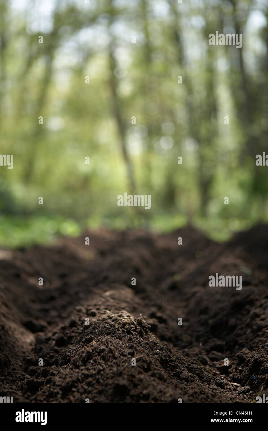 Tilled Soil in a Community Garden, Vancouver, British Columbia Stock ...
