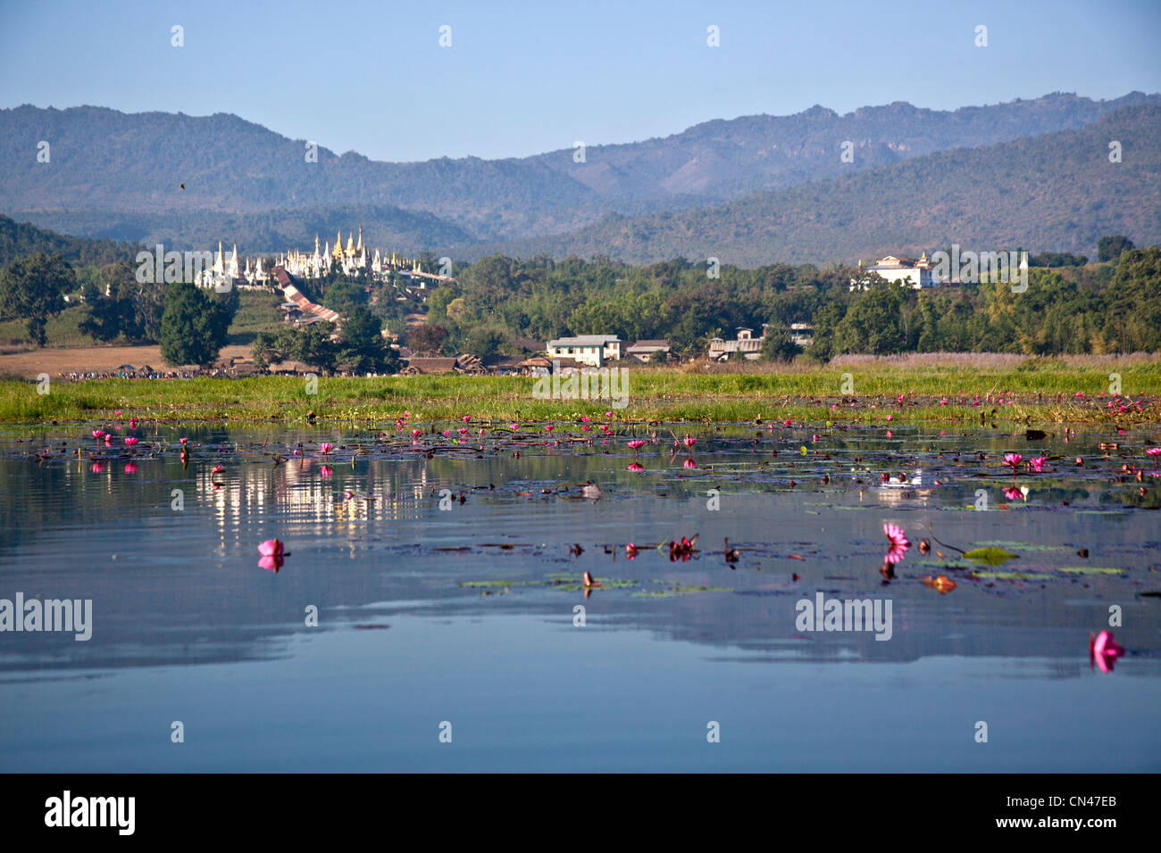 Thaung High Resolution Stock Photography and Images - Alamy