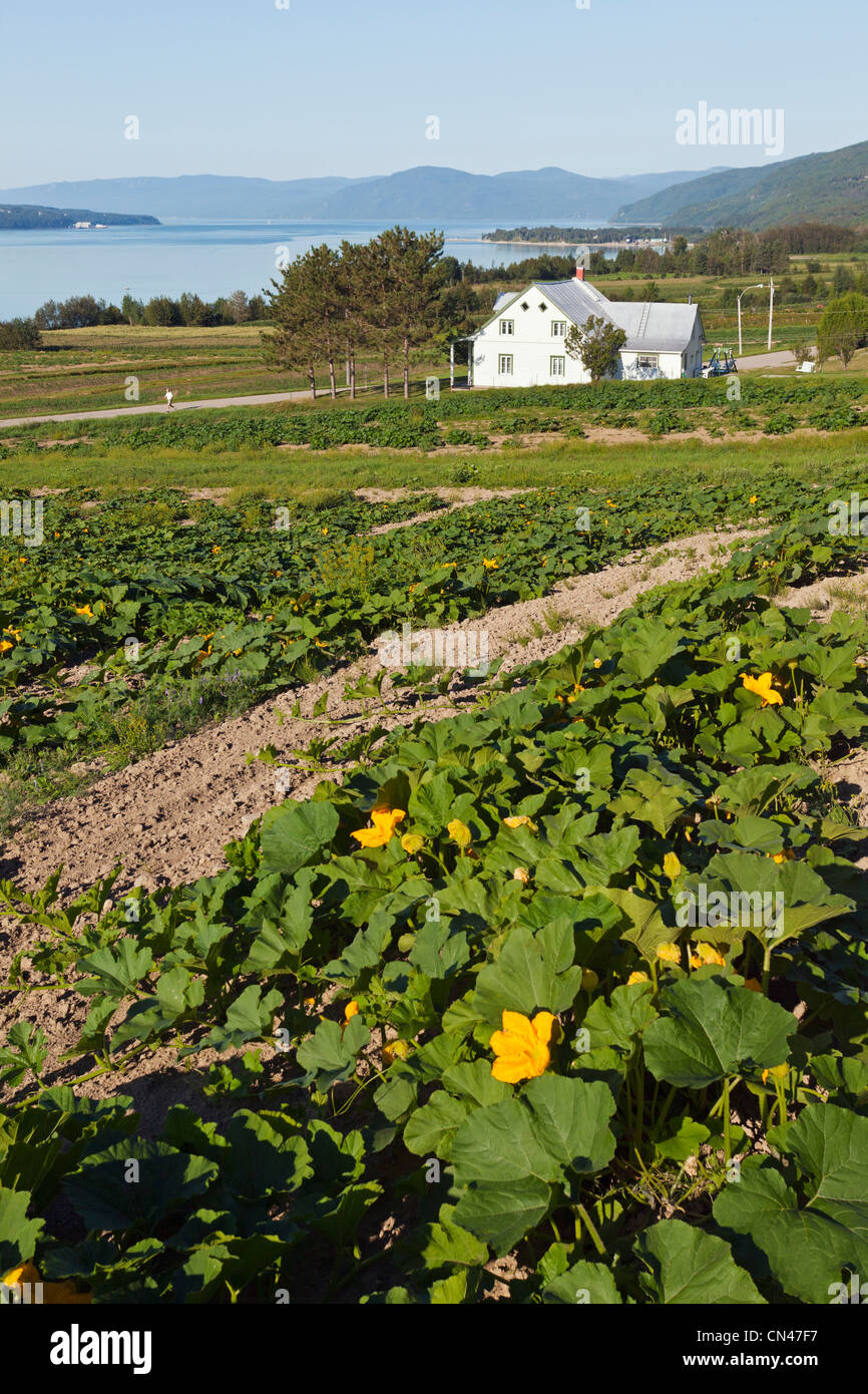 Canada, Quebec province, Charlevoix region, St Joseph de la Rive ...