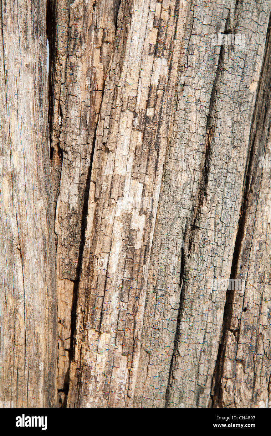 Piles hi-res stock photography and images - Alamy