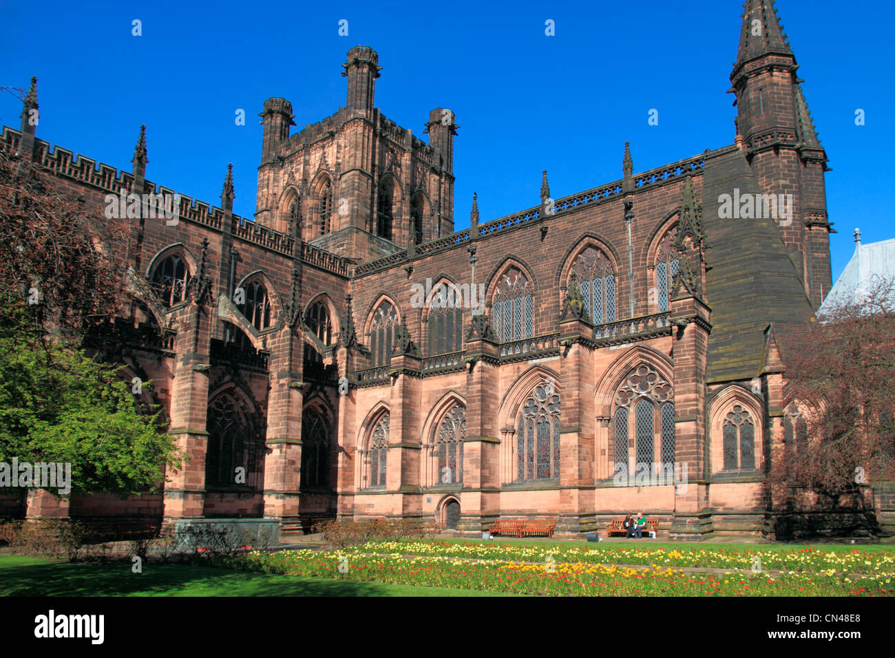 England Cheshire Chester Cathedral Stock Photo - Alamy