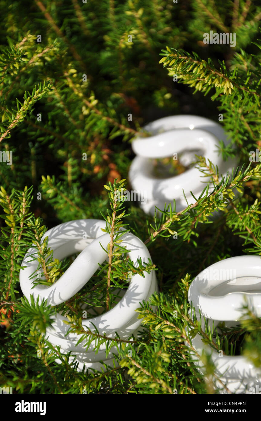 Save energy bulb with pine tree background Stock Photo - Alamy