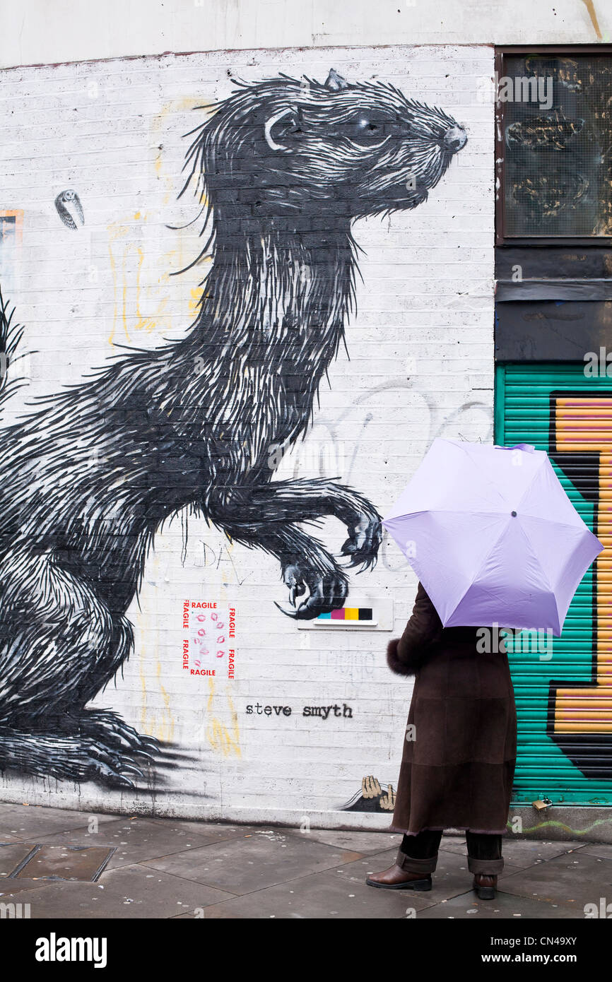 Roa animal hi-res stock photography and images - Alamy