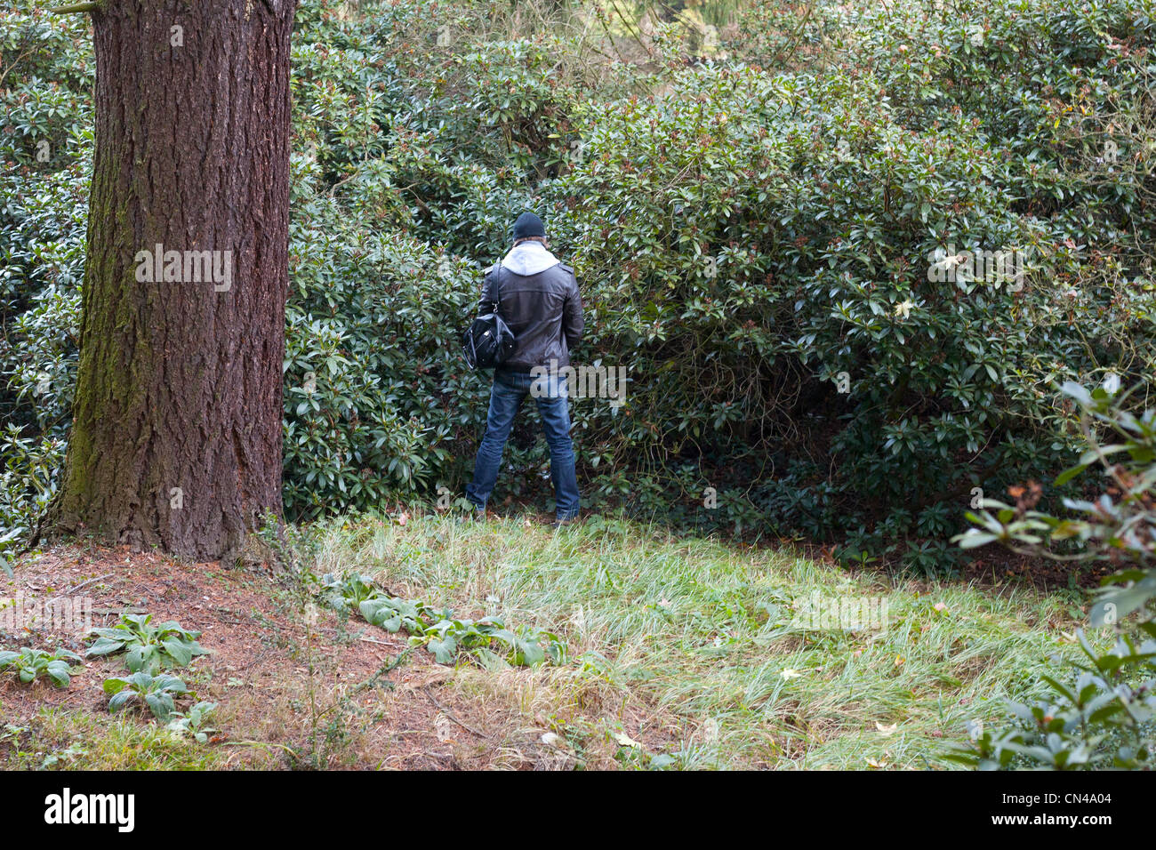 A man peeing in the forest Stock Photo - Alamy