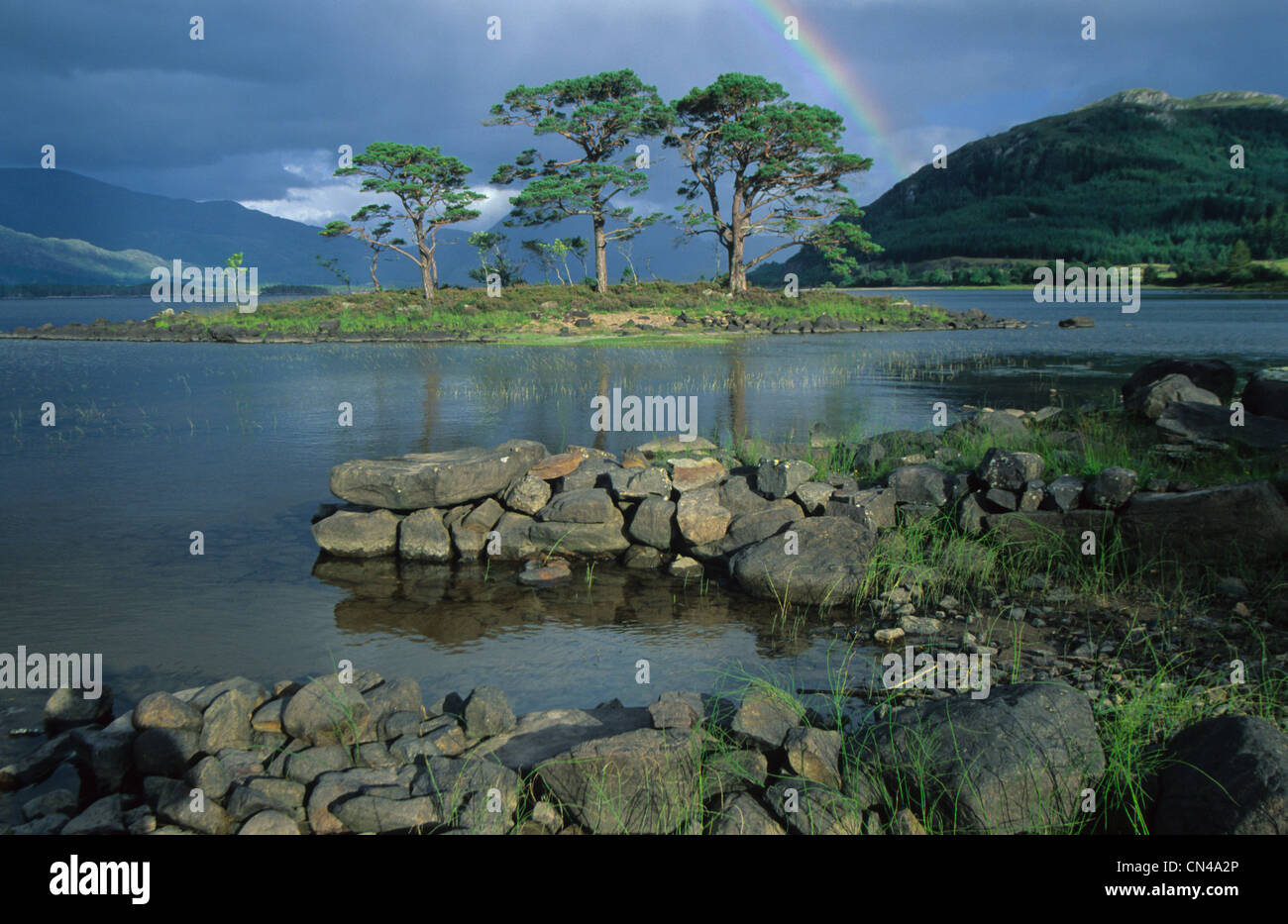 Loch Maree, Highlands, Scotland Stock Photo - Alamy