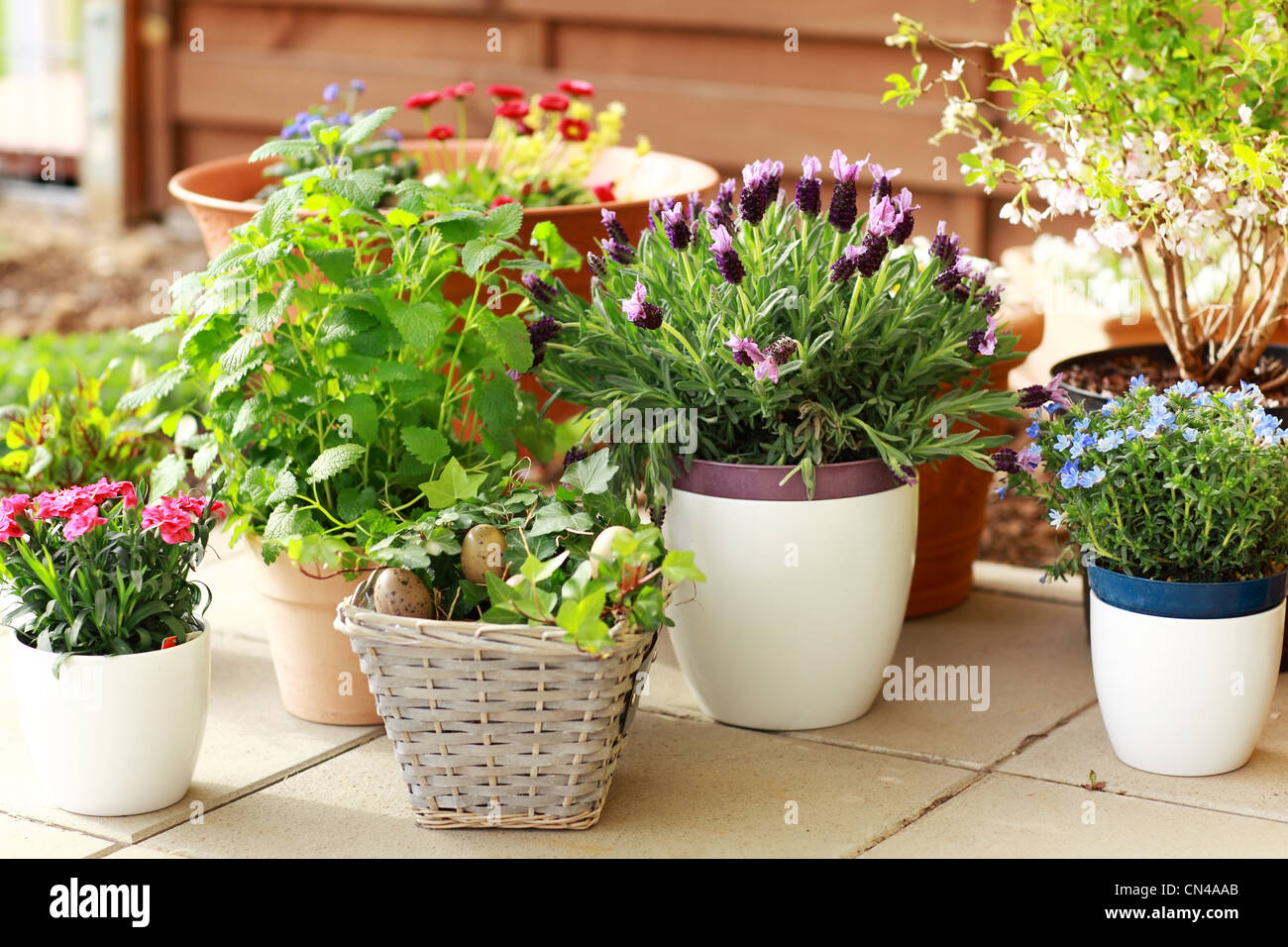 Outdoor flower pots for small garden, patio or terrace Stock Photo - Alamy