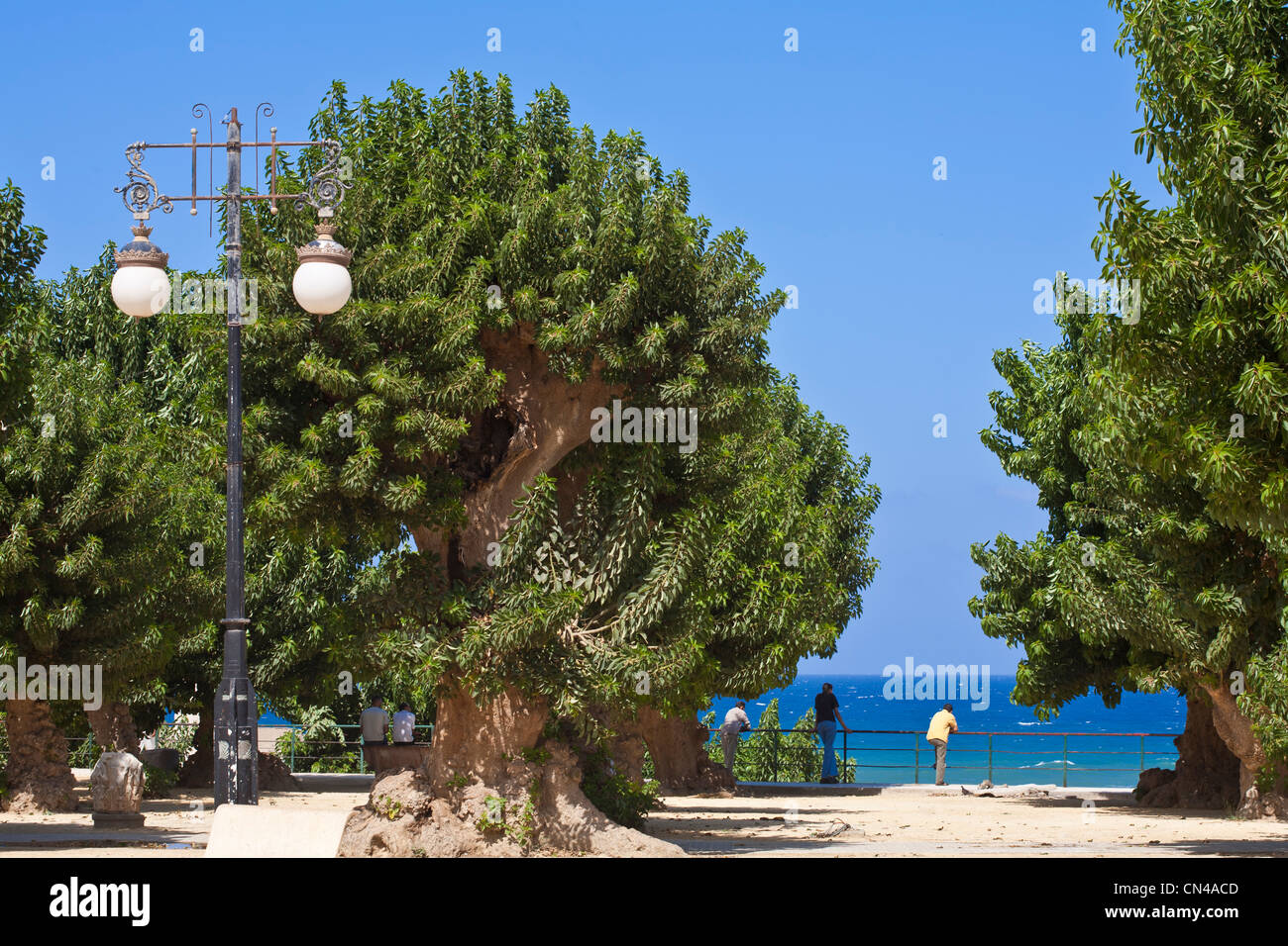 Cherchell High Resolution Stock Photography and Images - Alamy