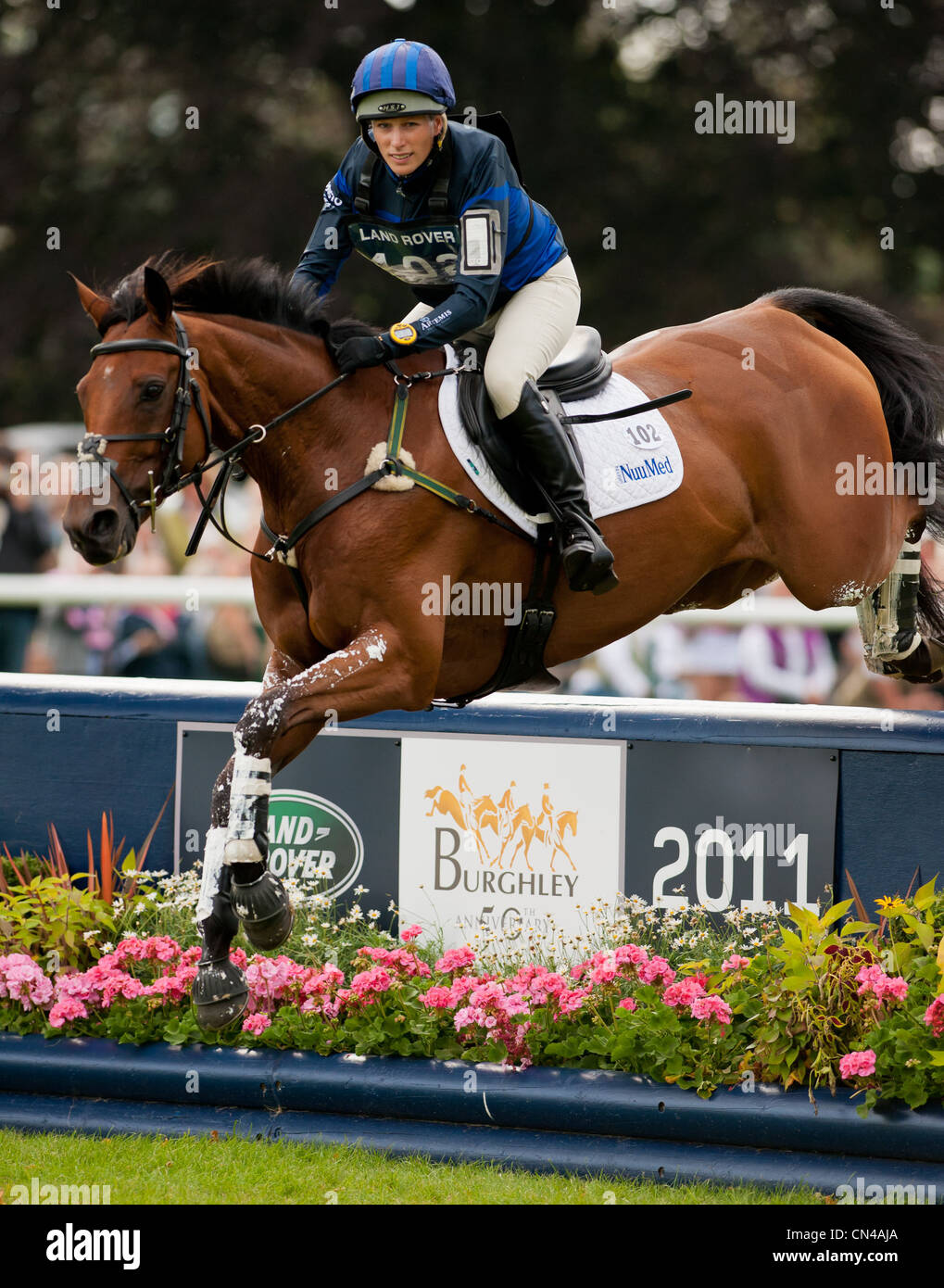 Horse jumping eventing cross country hi-res stock photography and ...