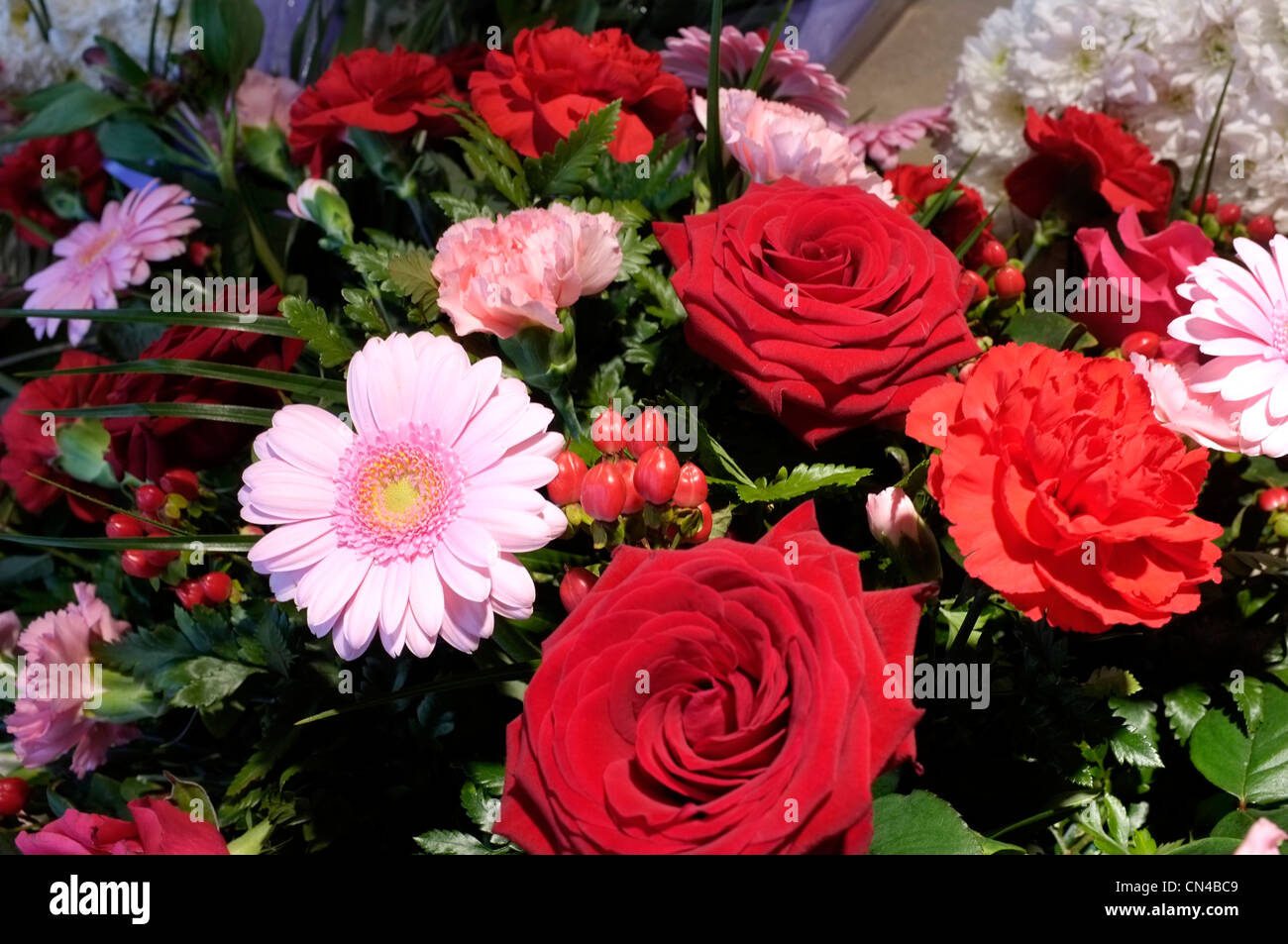 collection of roses flowers kent uk 2012 Stock Photo - Alamy