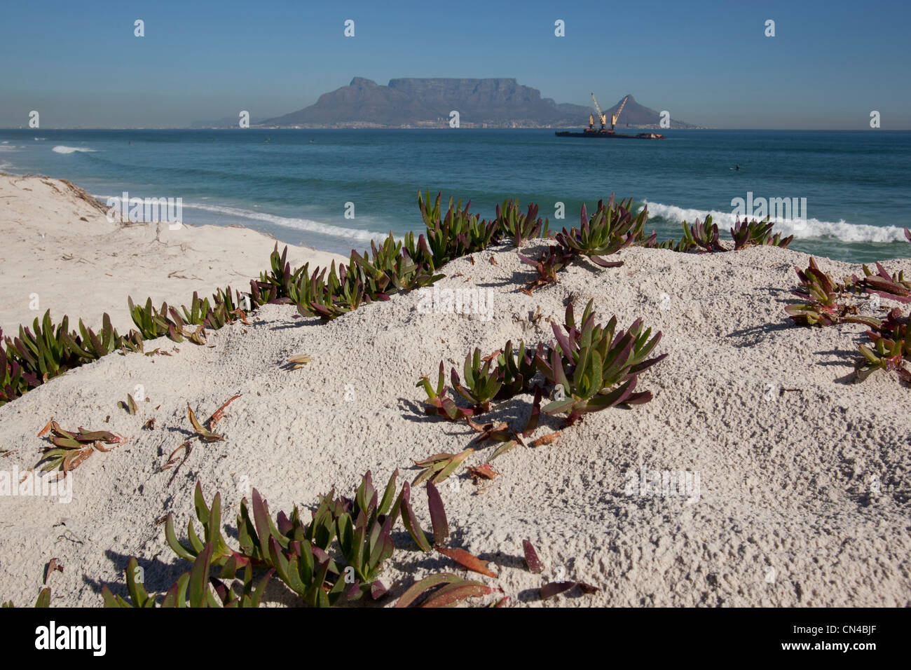 Stranded ship on beach in hi-res stock photography and images - Alamy