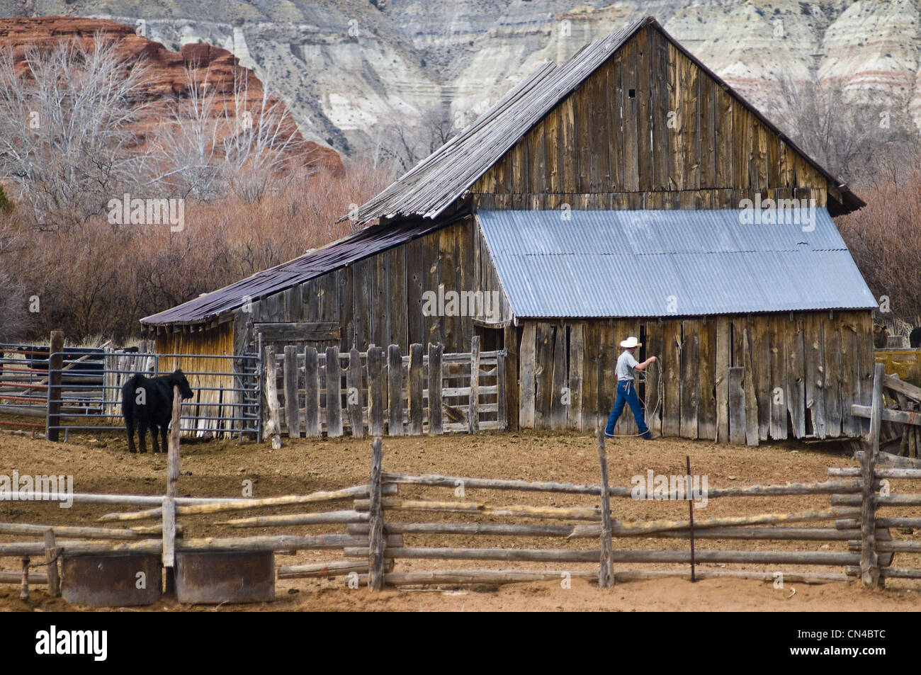 Mormon family hi-res stock photography and images - Alamy