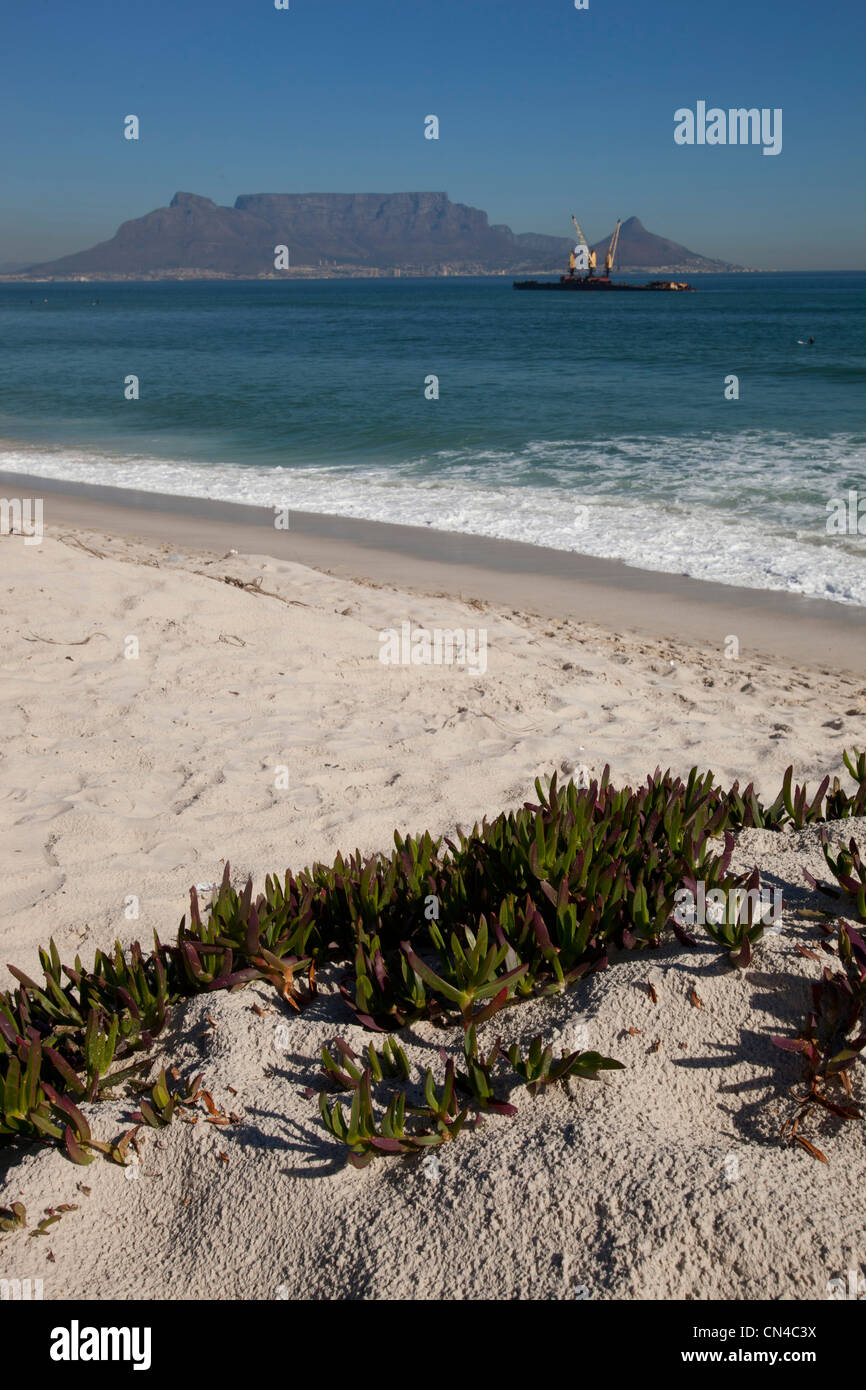 Stranded ship on beach in hi-res stock photography and images - Alamy