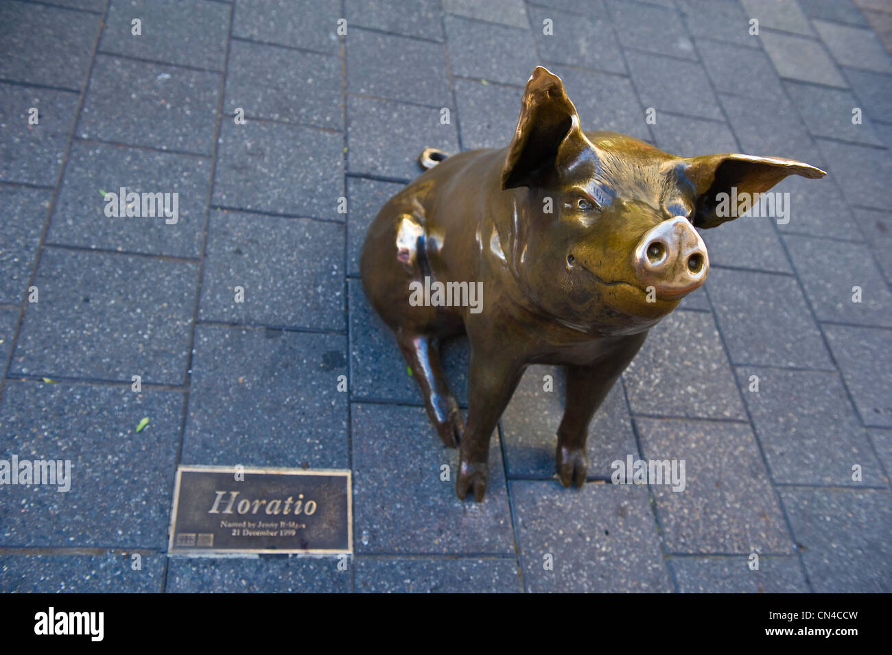 Rundle mall pigs hi-res stock photography and images - Alamy