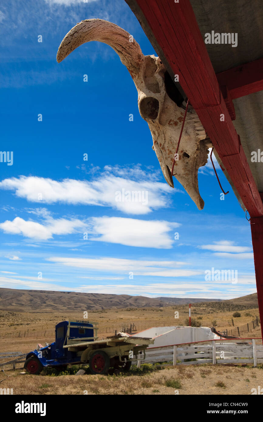 Argentina, Patagonia, Santa Cruz province, skull of a cow and old car ...