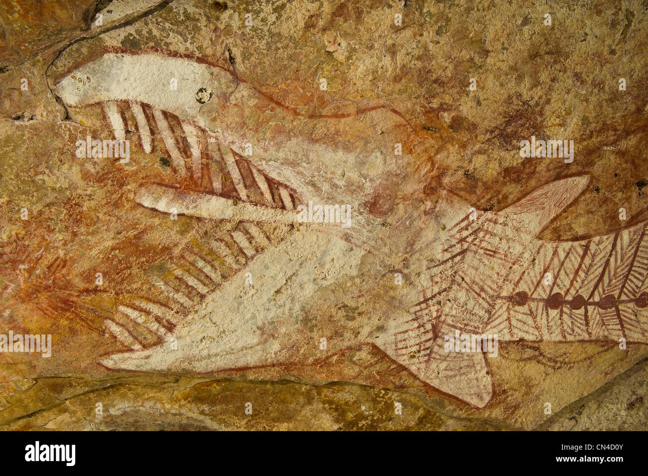Rainbow serpent arnhem land hi-res stock photography and images - Alamy