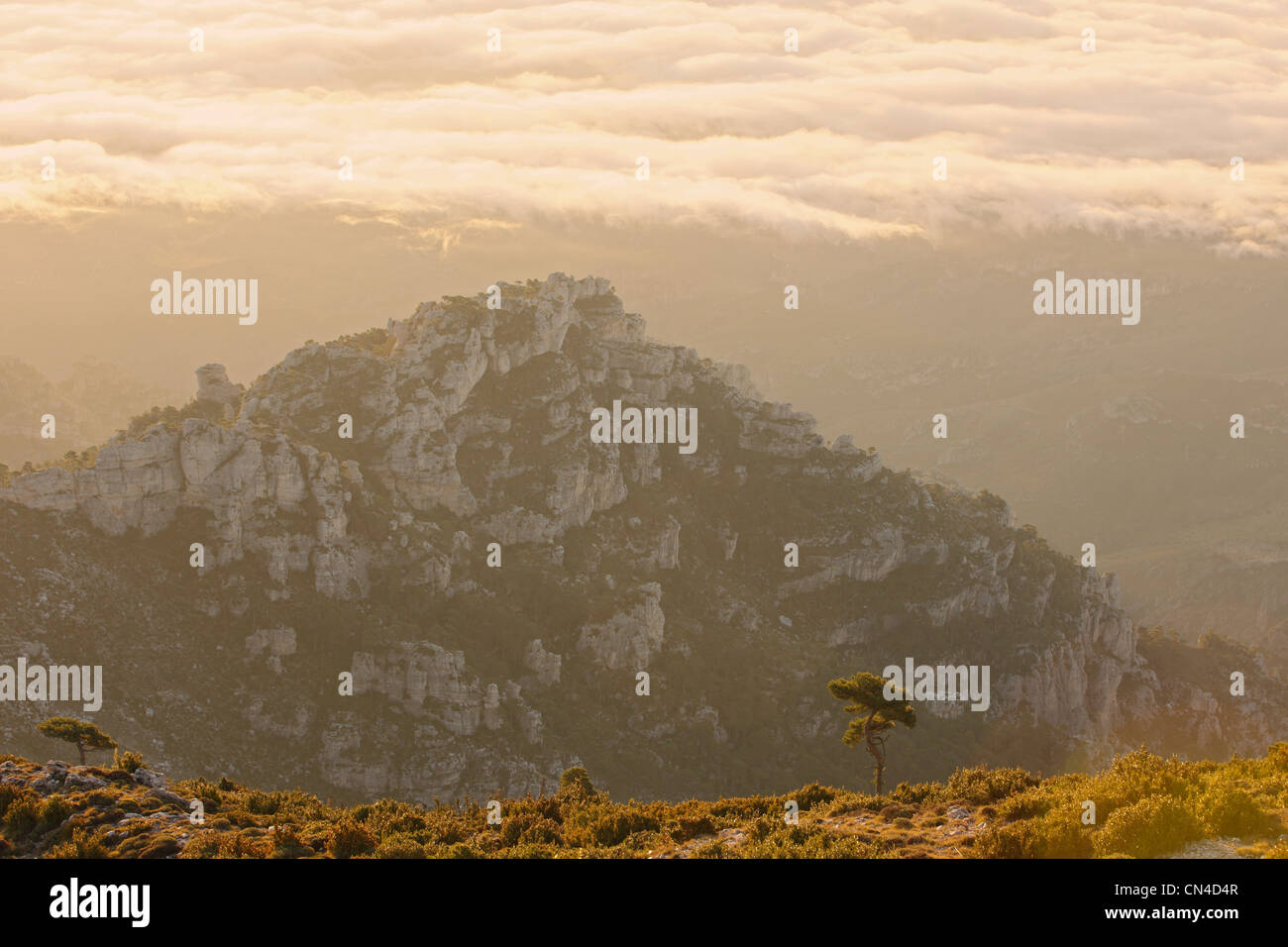 Catalonia nature reserve hi-res stock photography and images - Alamy