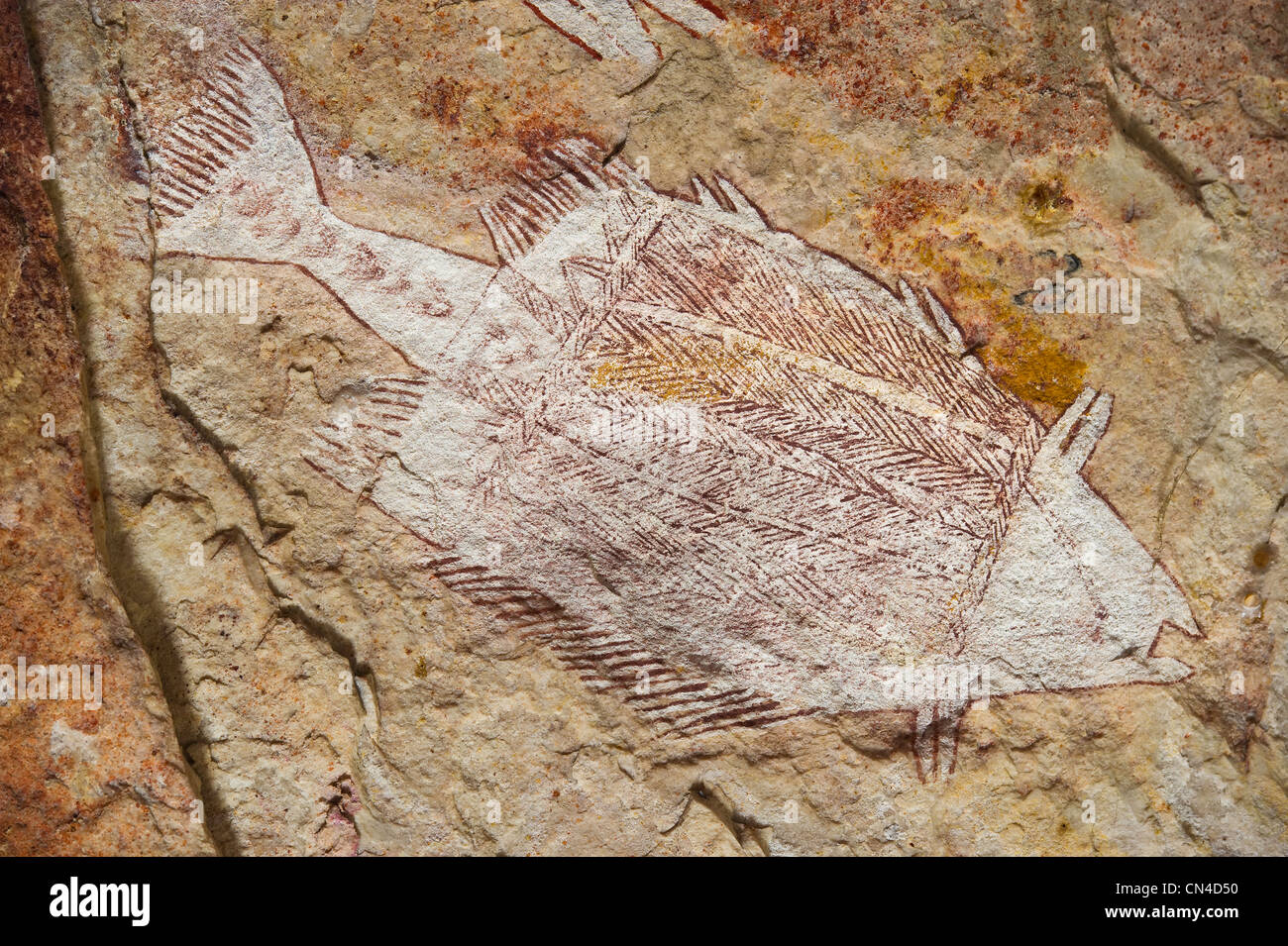 Australian aboriginal artefacts hi-res stock photography and images - Alamy