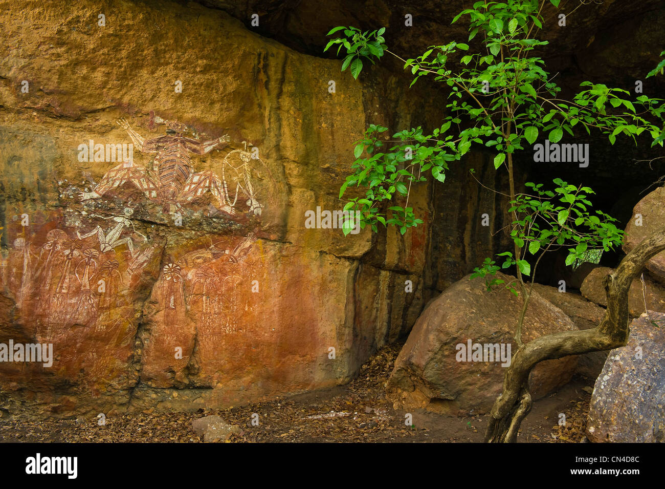 Australia aboriginal rock art x ray hi-res stock photography and images ...