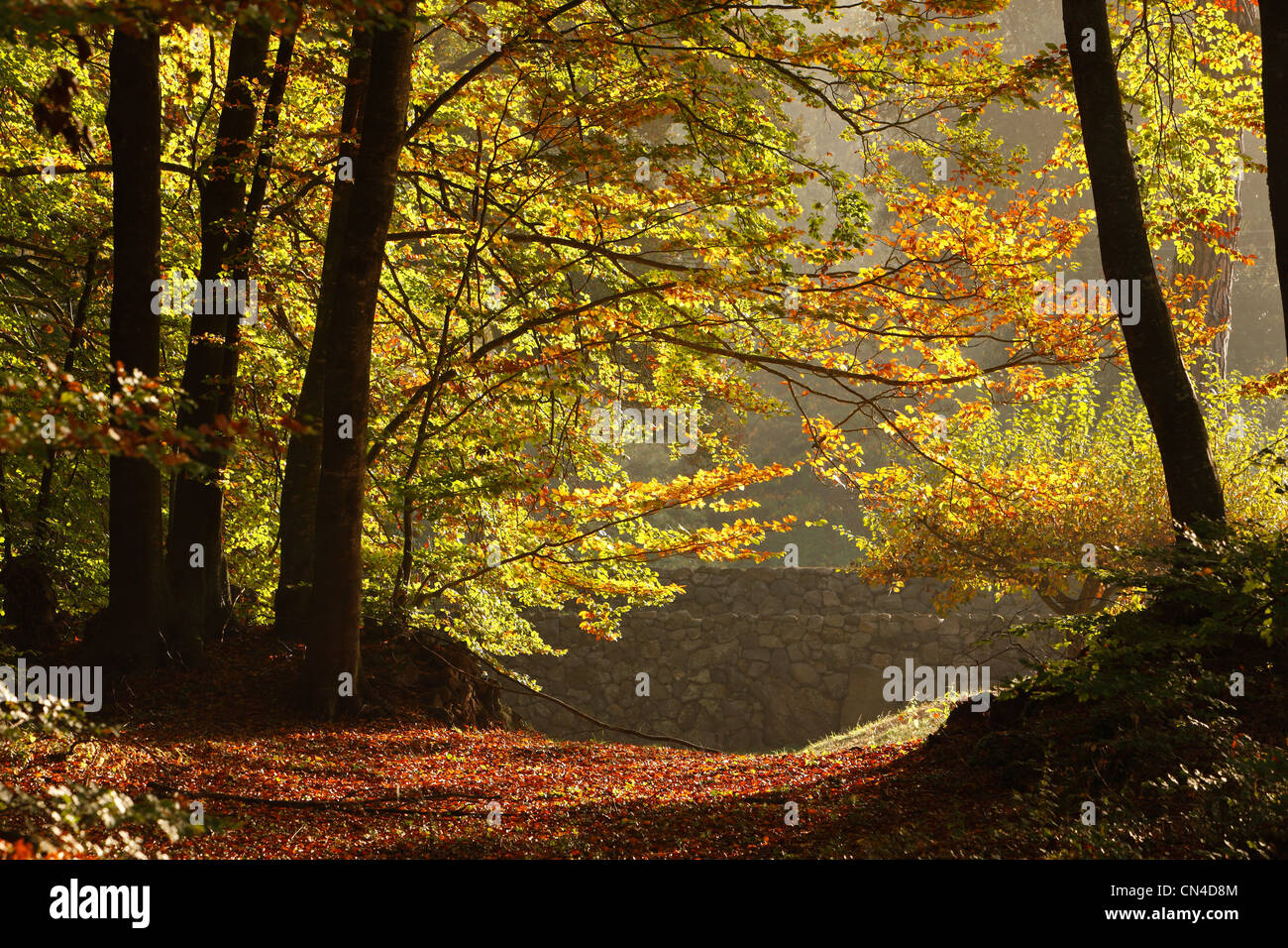 Spain, Catalonia, Natural Park of Garrotxa, volcano Stock Photo - Alamy