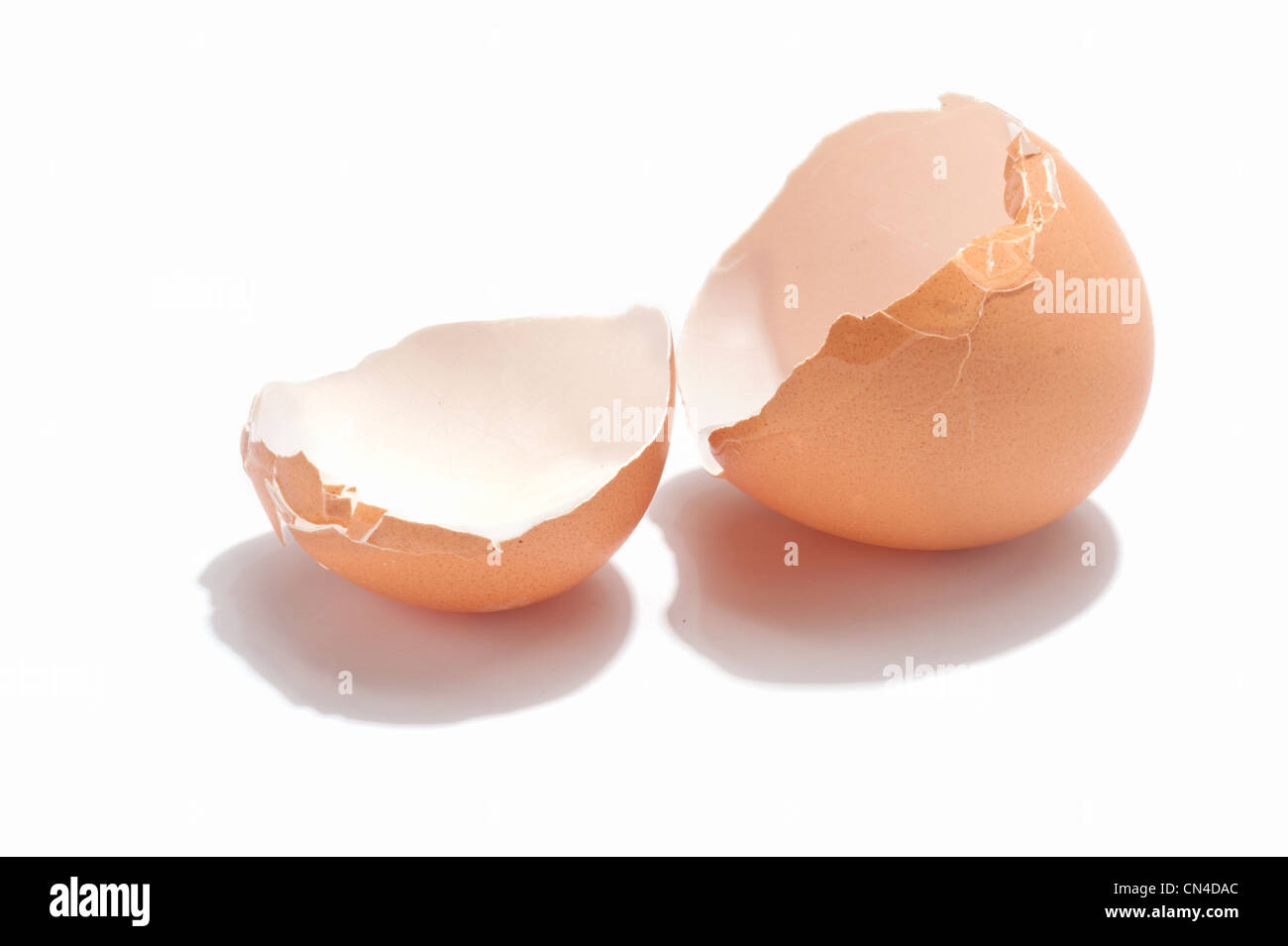 An empty chicken egg shell Stock Photo - Alamy An empty chicken egg shell Stock Photo - Alamy