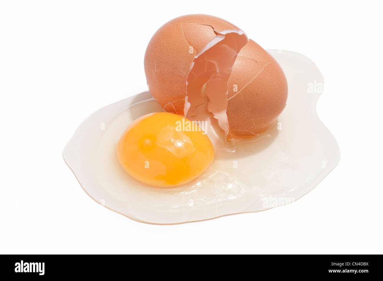 Half shell egg Cut Out Stock Images & Pictures - Alamy