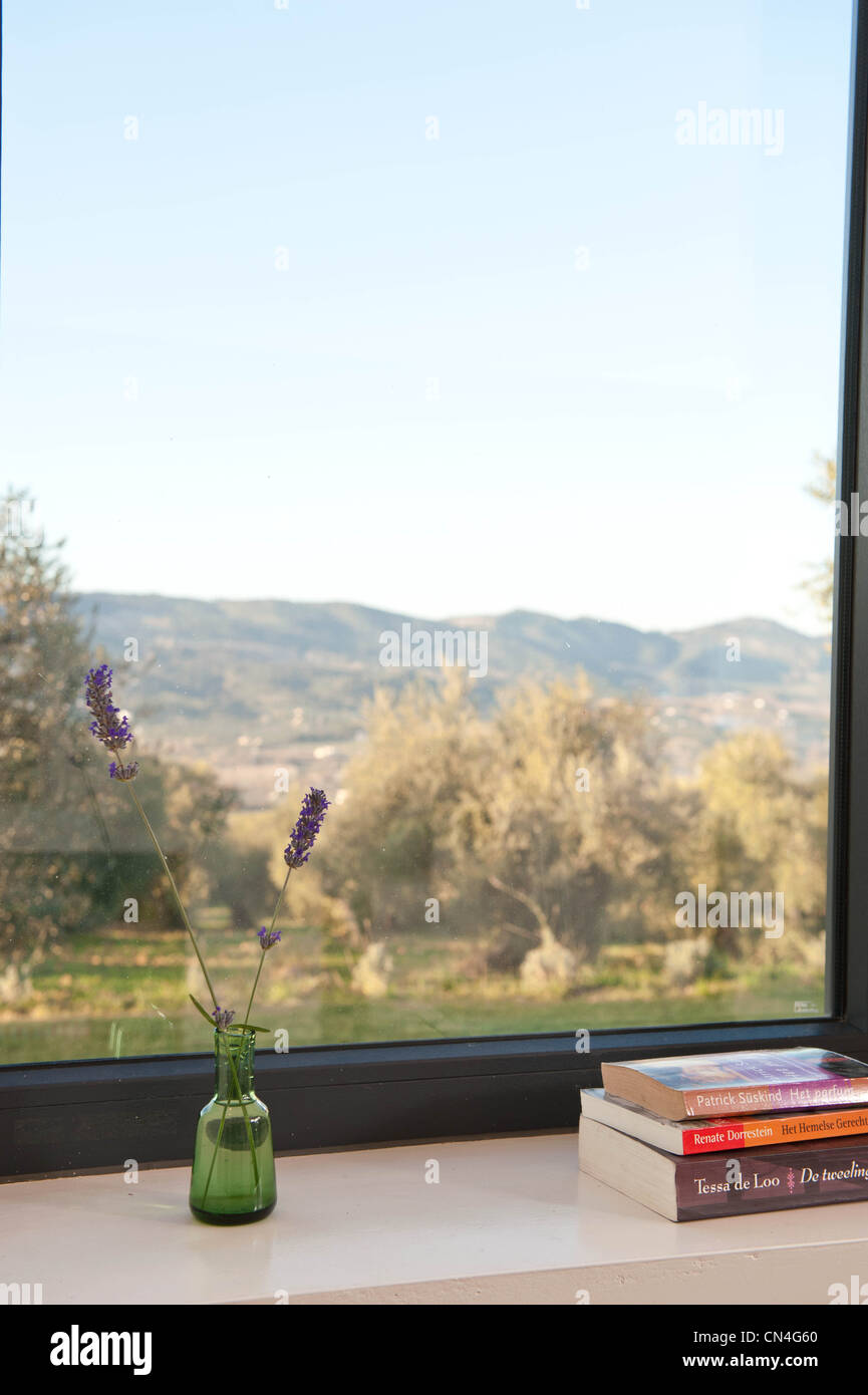 Lavender in window sill Stock Photo - Alamy