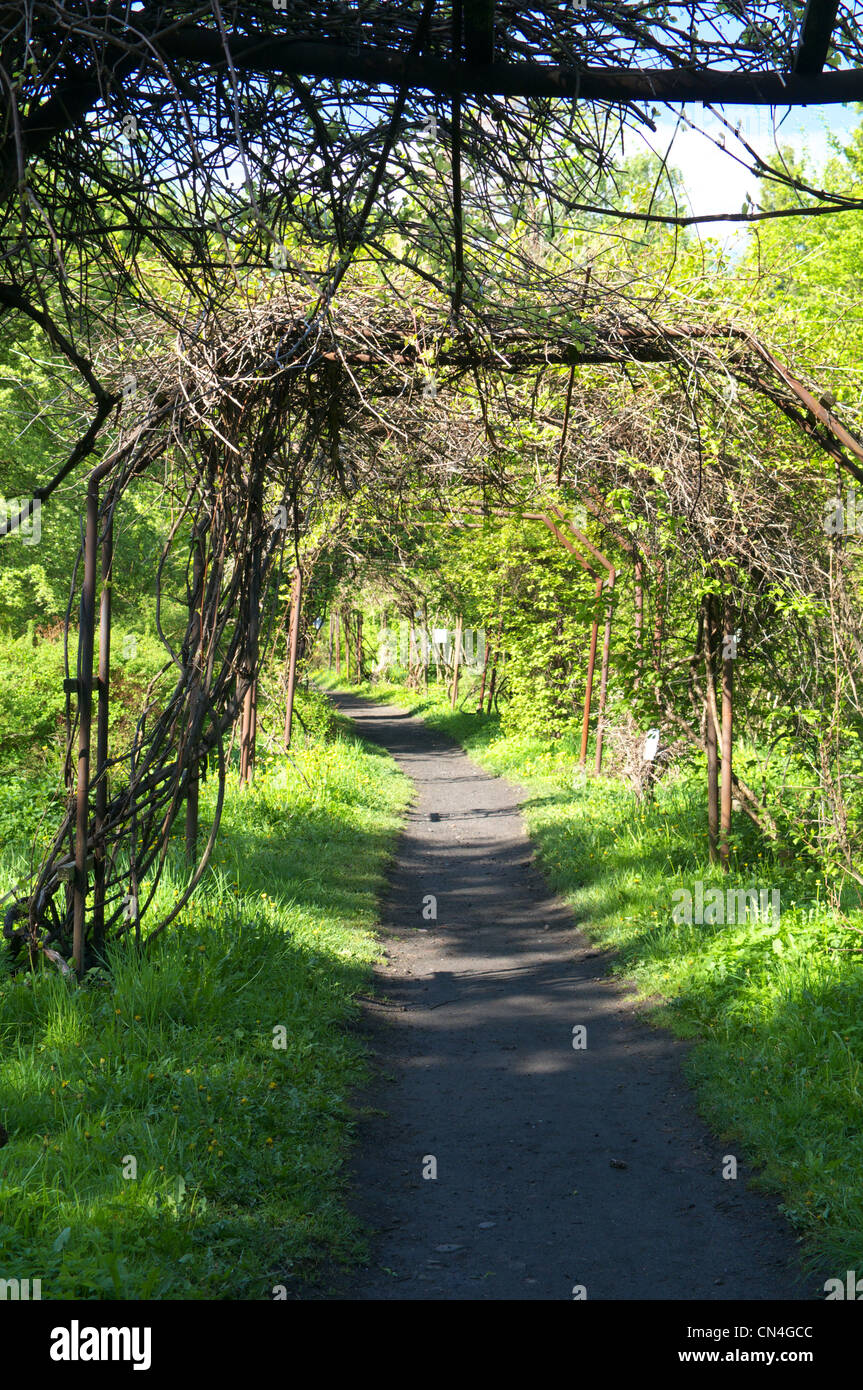 Kaliningrad botanical garden Stock Photo - Alamy