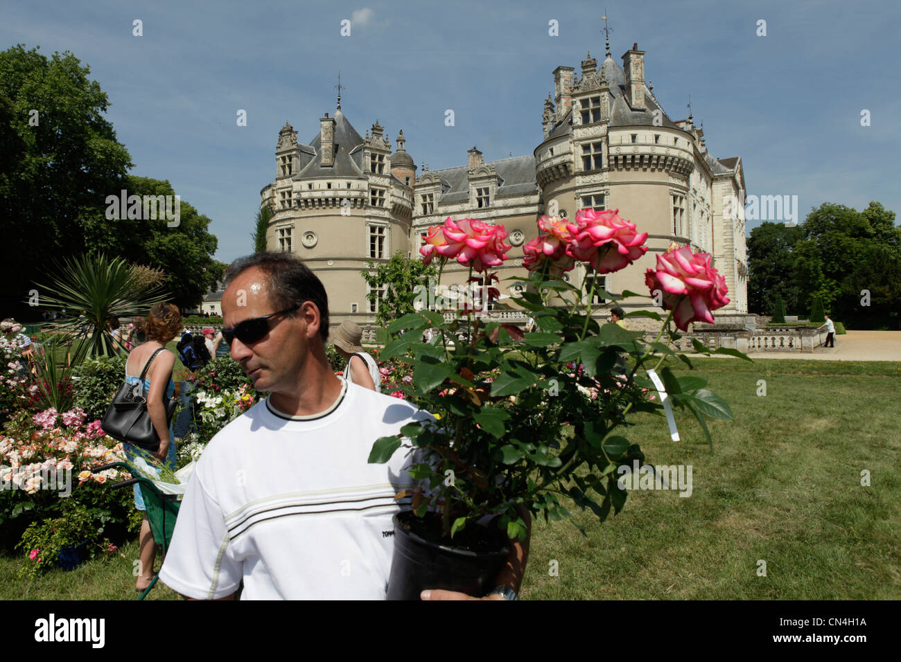 Lude castle hi-res stock photography and images - Alamy