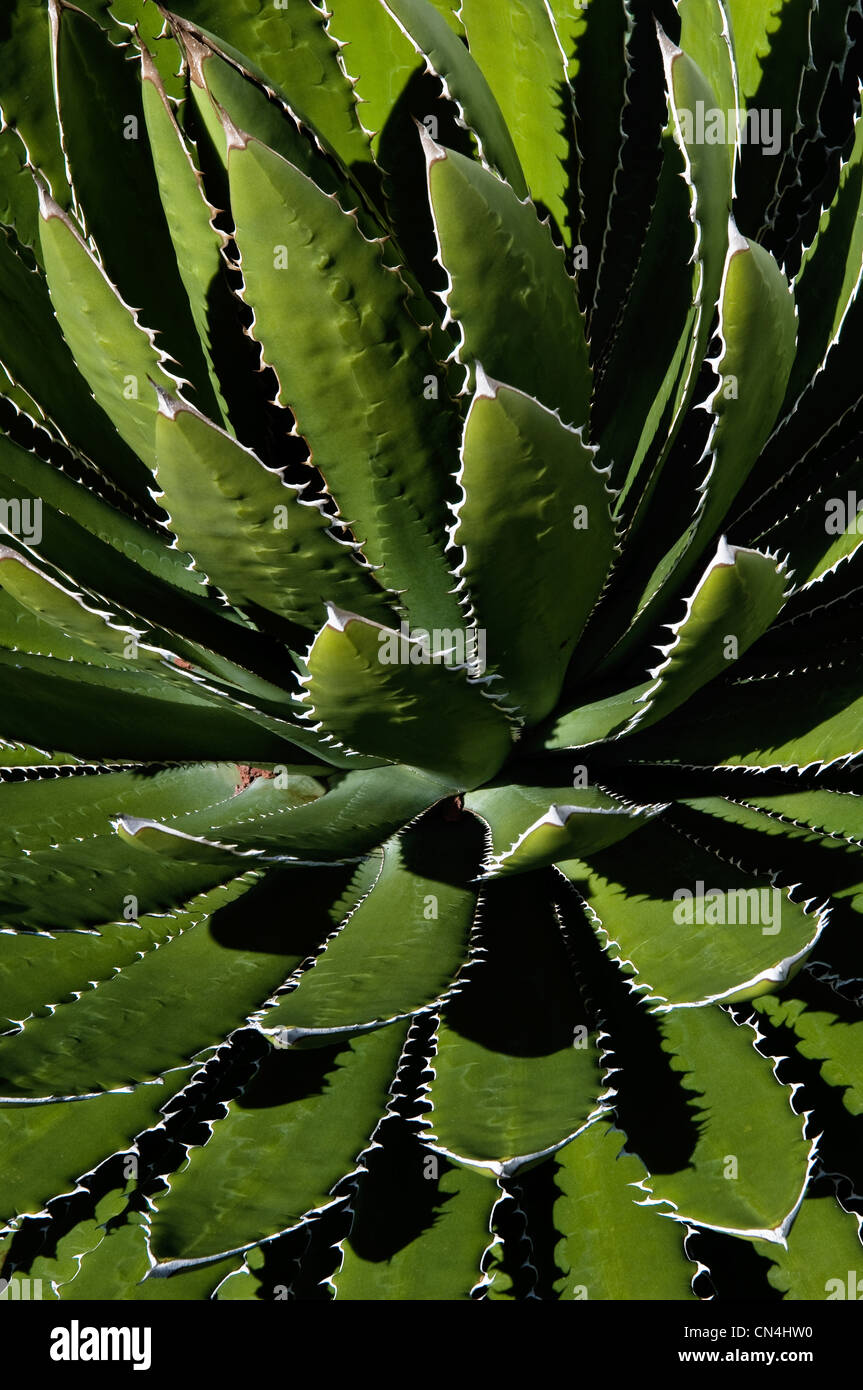 Spain, Canary islands, Lanzarote island, north east side of island ...
