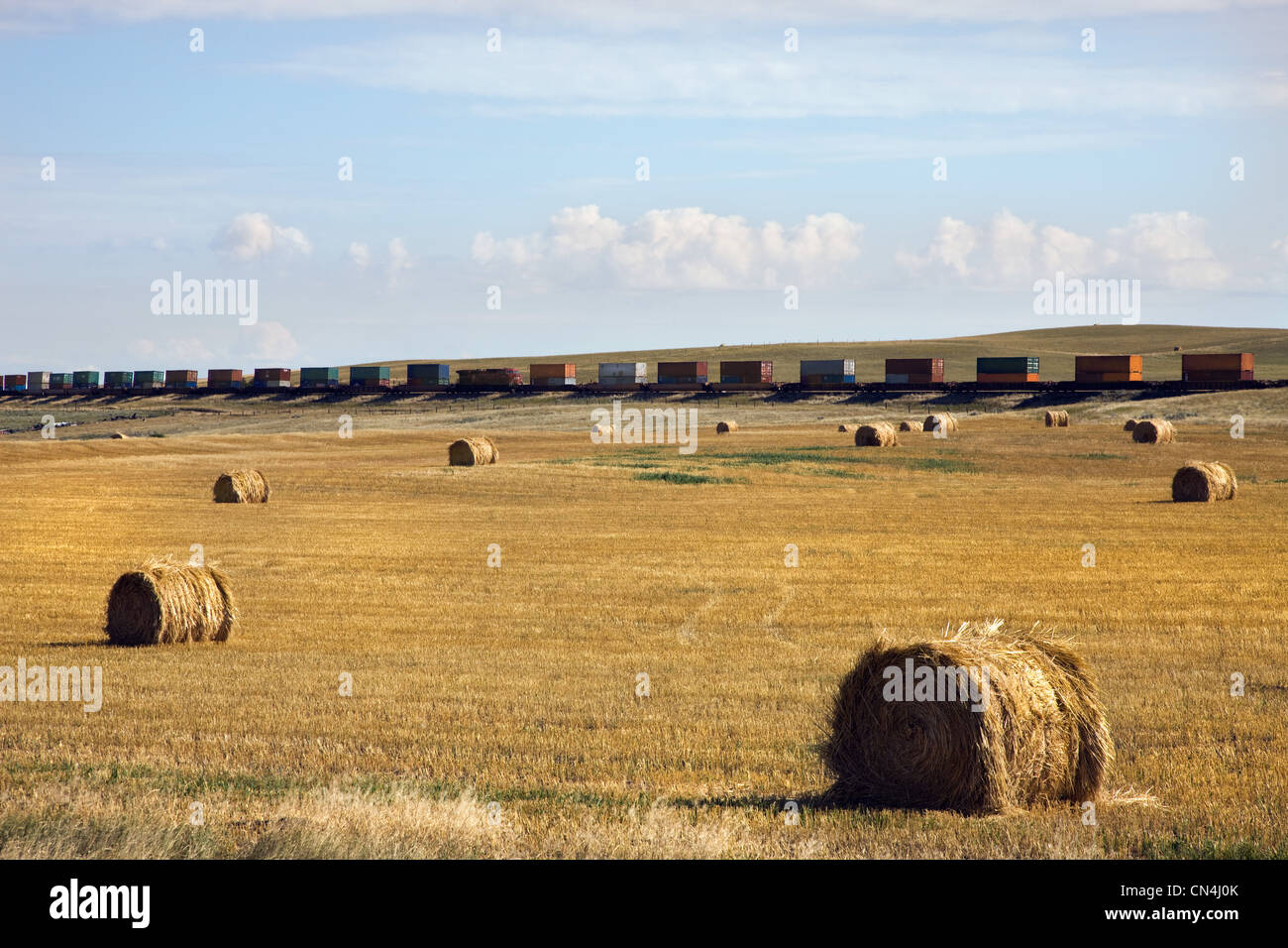 Bales of hay in field with freight train in distance Stock Photo - Alamy